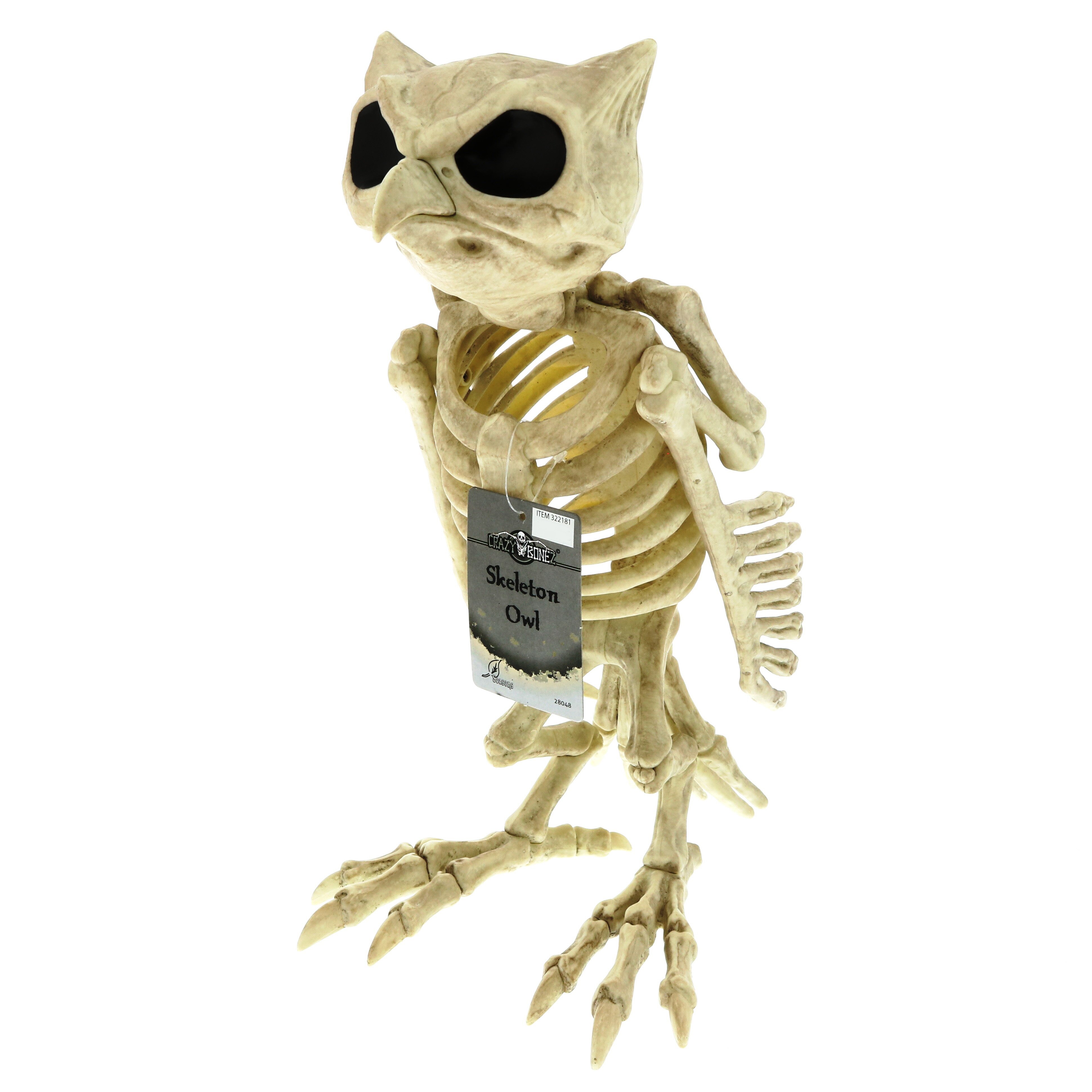 Seasons USA Skeleton Owl - Shop Seasonal decor at H-E-B