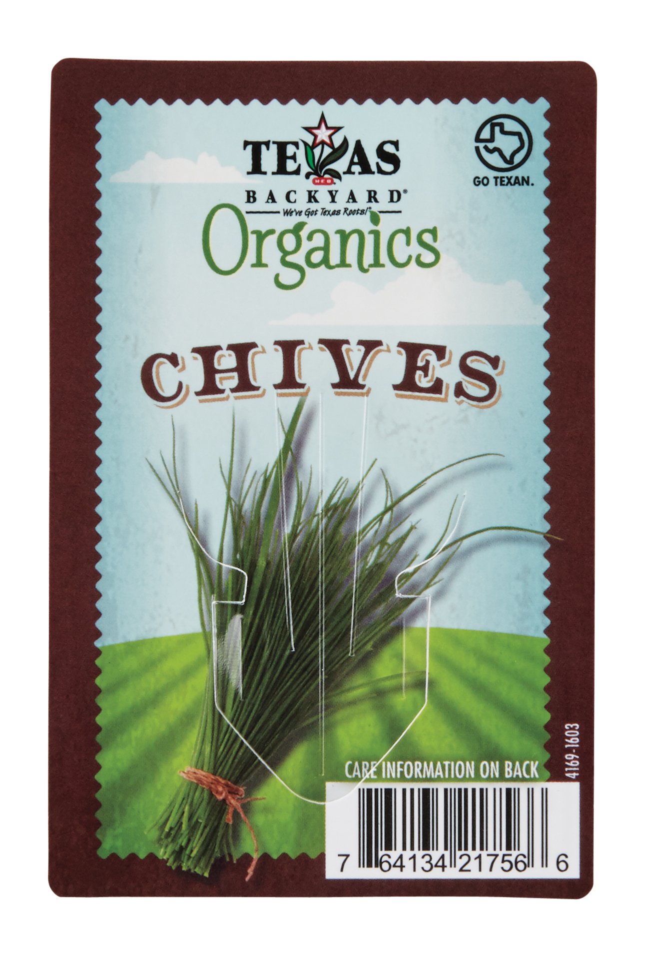 H-E-B Texas Backyard Organic Chives - Shop Potted plants at H-E-B