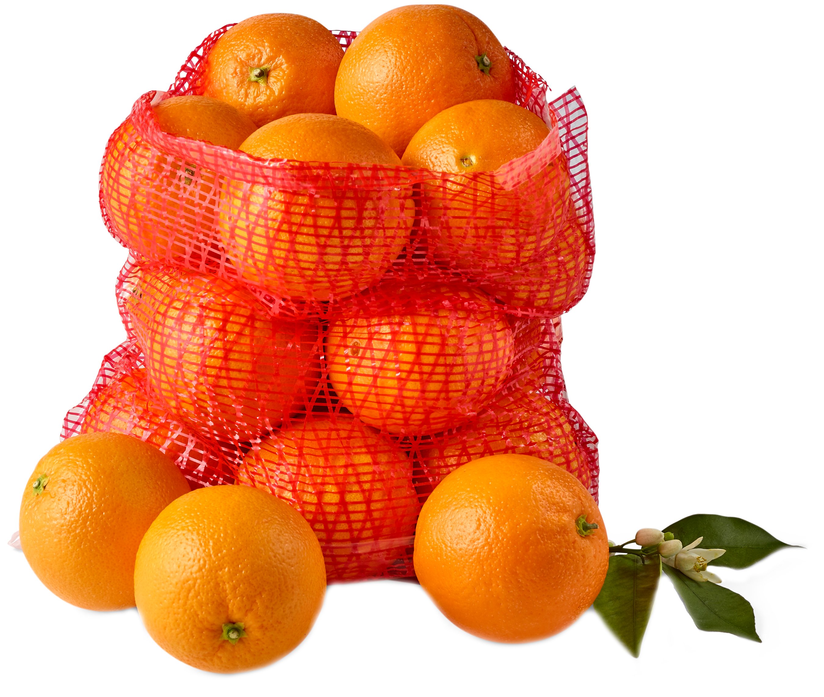 Fresh Oranges - Shop Citrus at H-E-B