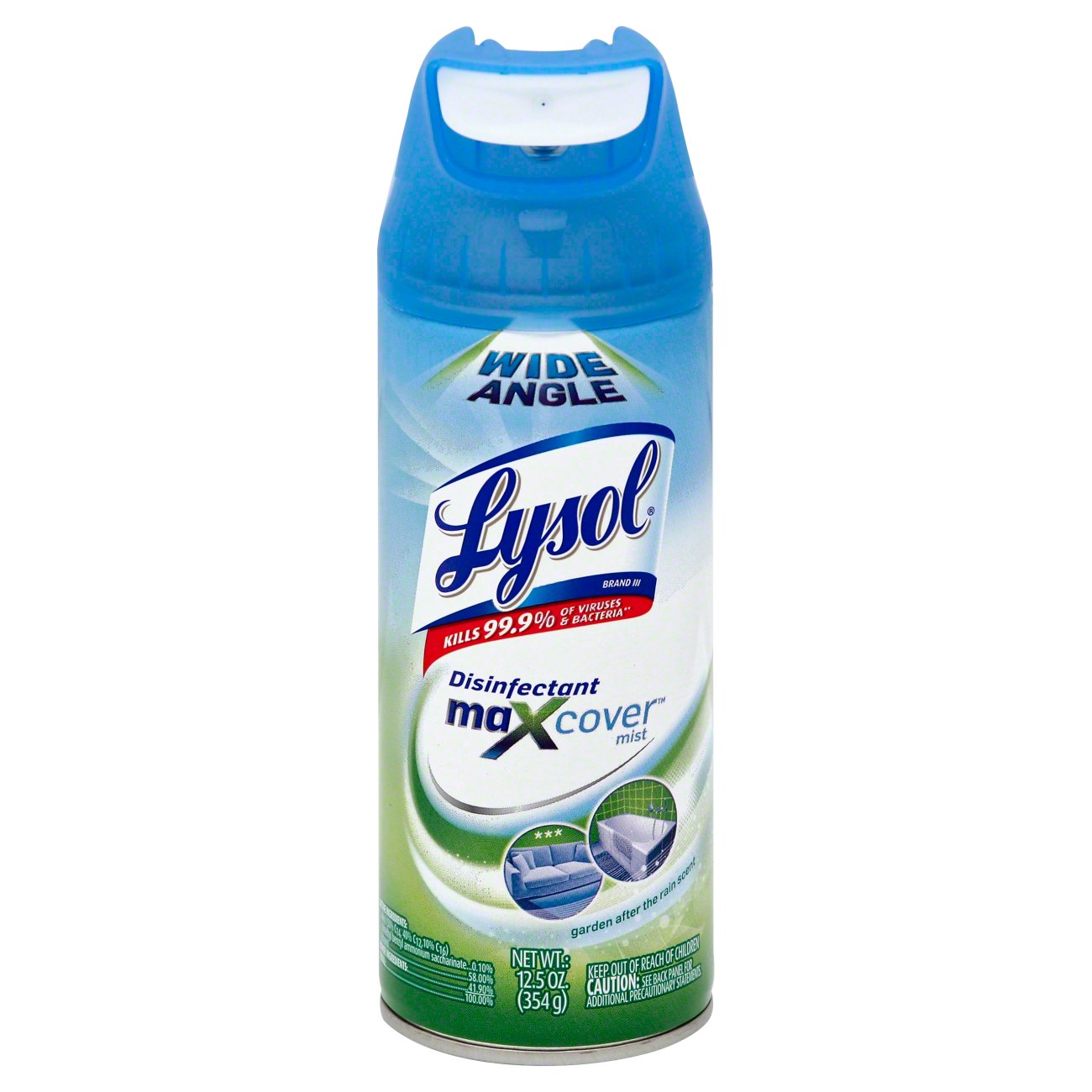 Lysol Garden After Rain Scent Disinfectant Max Cover Mist - Shop All ...