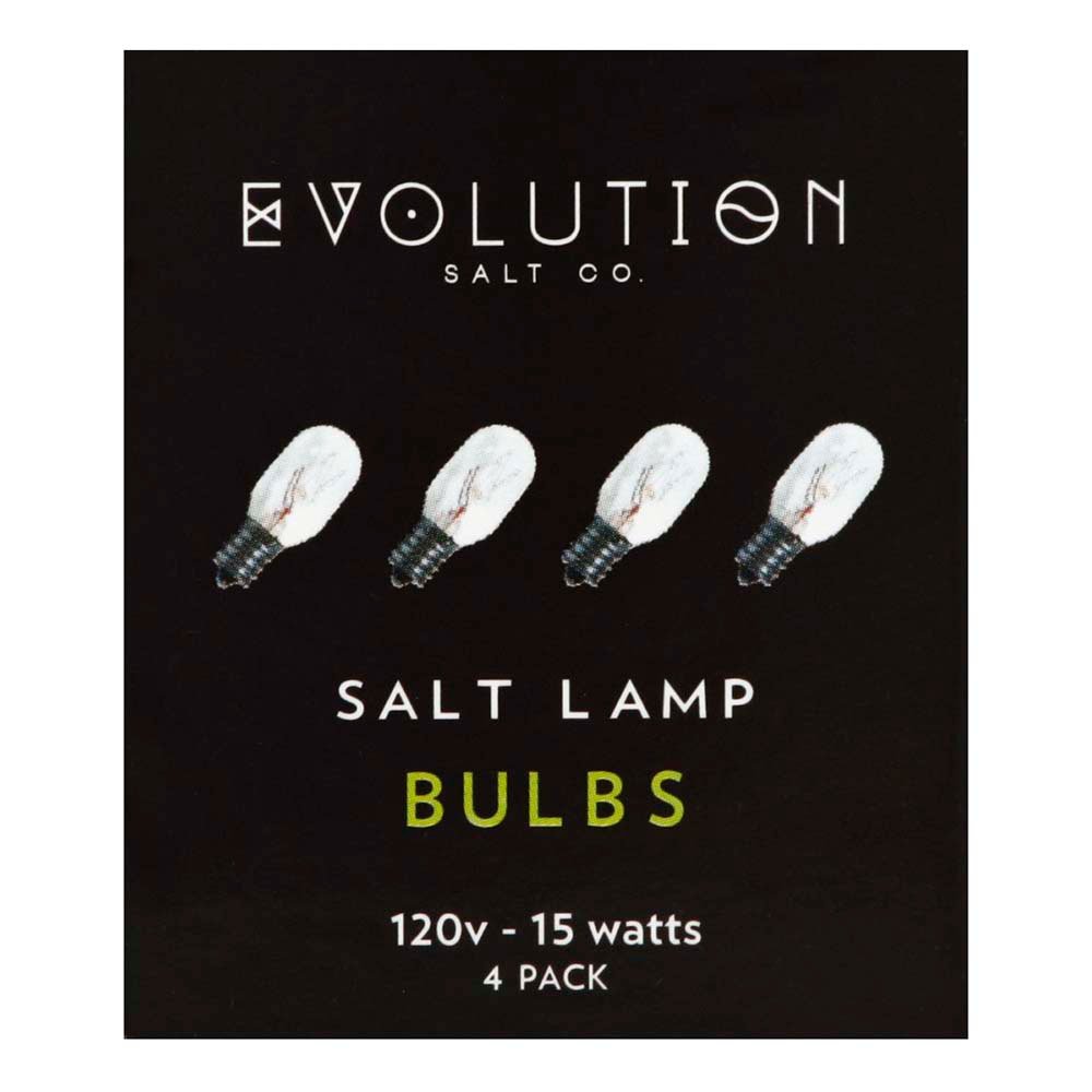 Evolution Salt Co. Salt Lamp 15-Watt Light Bulbs - Shop Light bulbs at ...