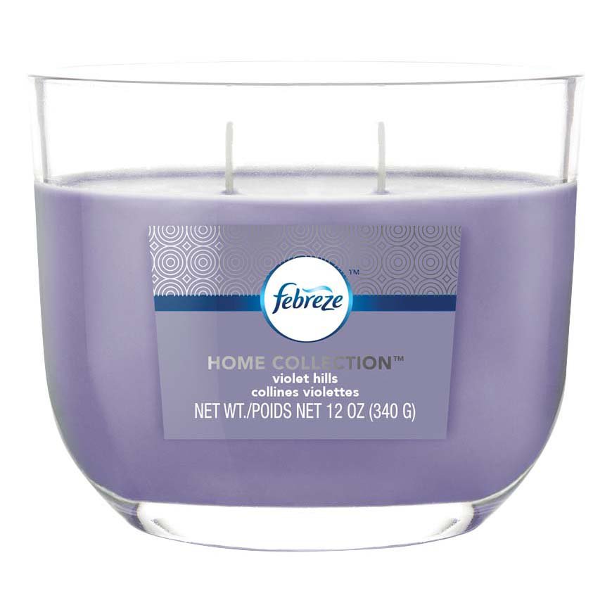 Febreze Home Collections Violet Hills Dual Wick Candle - Shop Candles ...