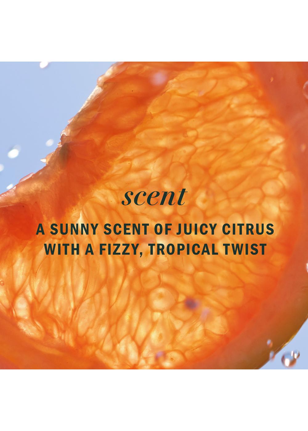 Herbal Essences Grapefruit Volume Shampoo - Shop Shampoo & conditioner ...