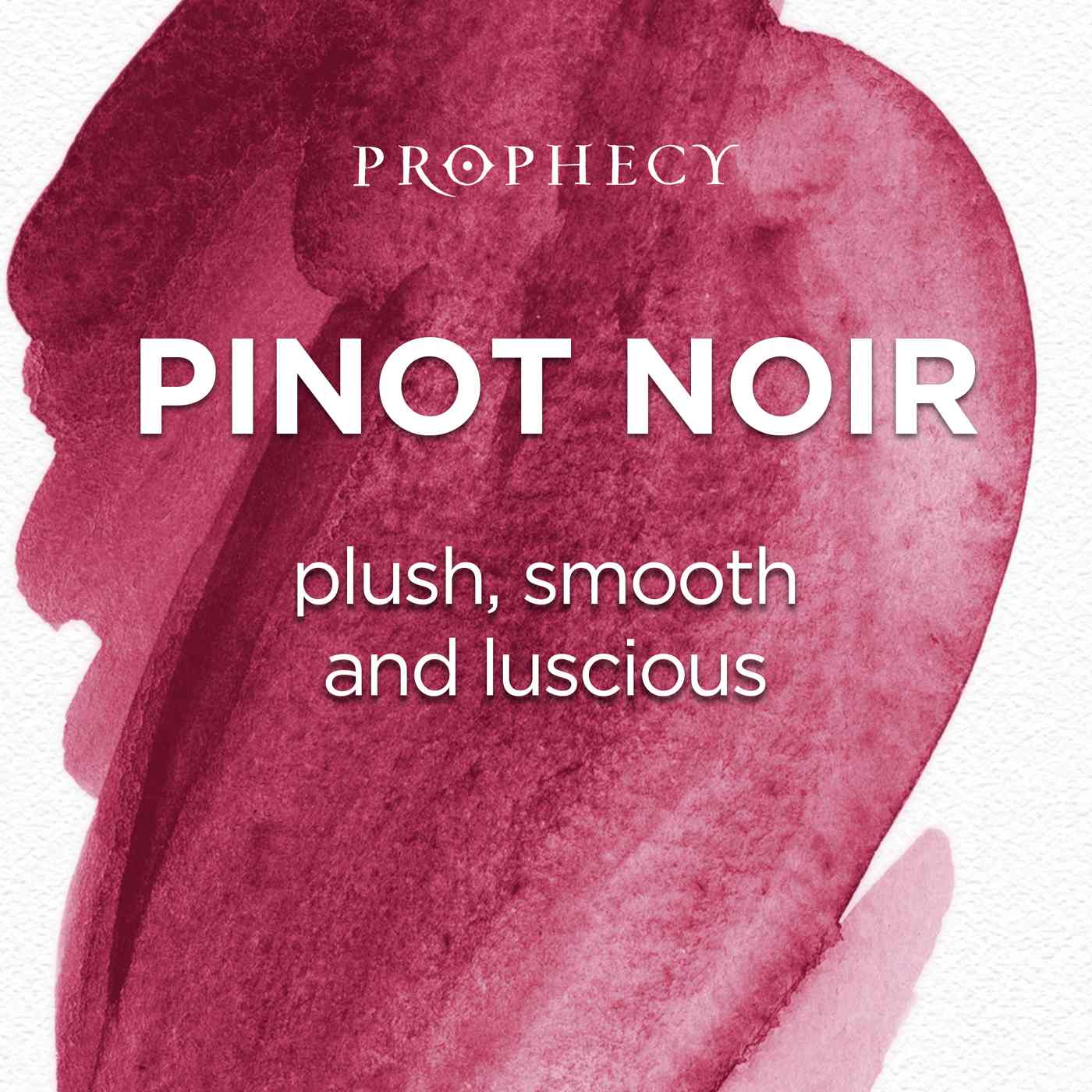Prophecy Pinot Noir California Red Wine - Shop Wine at H-E-B