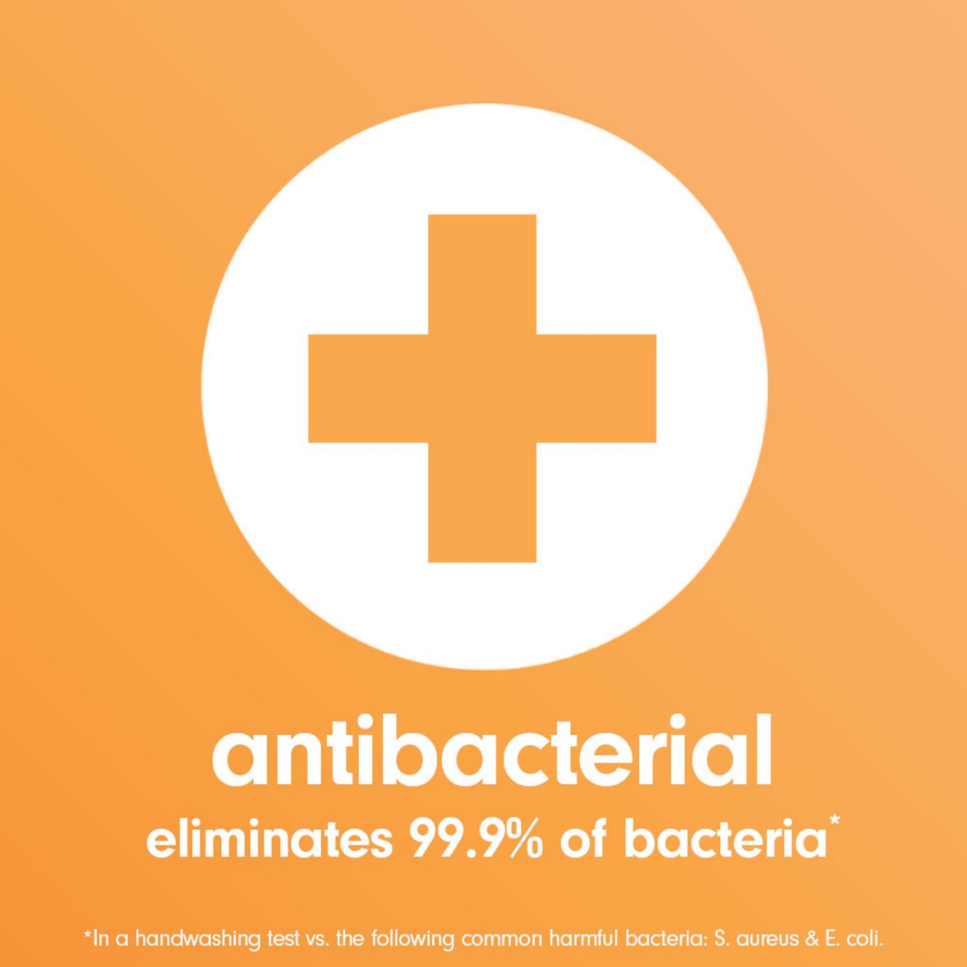 Softsoap Antibacterial Liquid Hand Soap Pump - Crisp Clean - Shop Hand ...