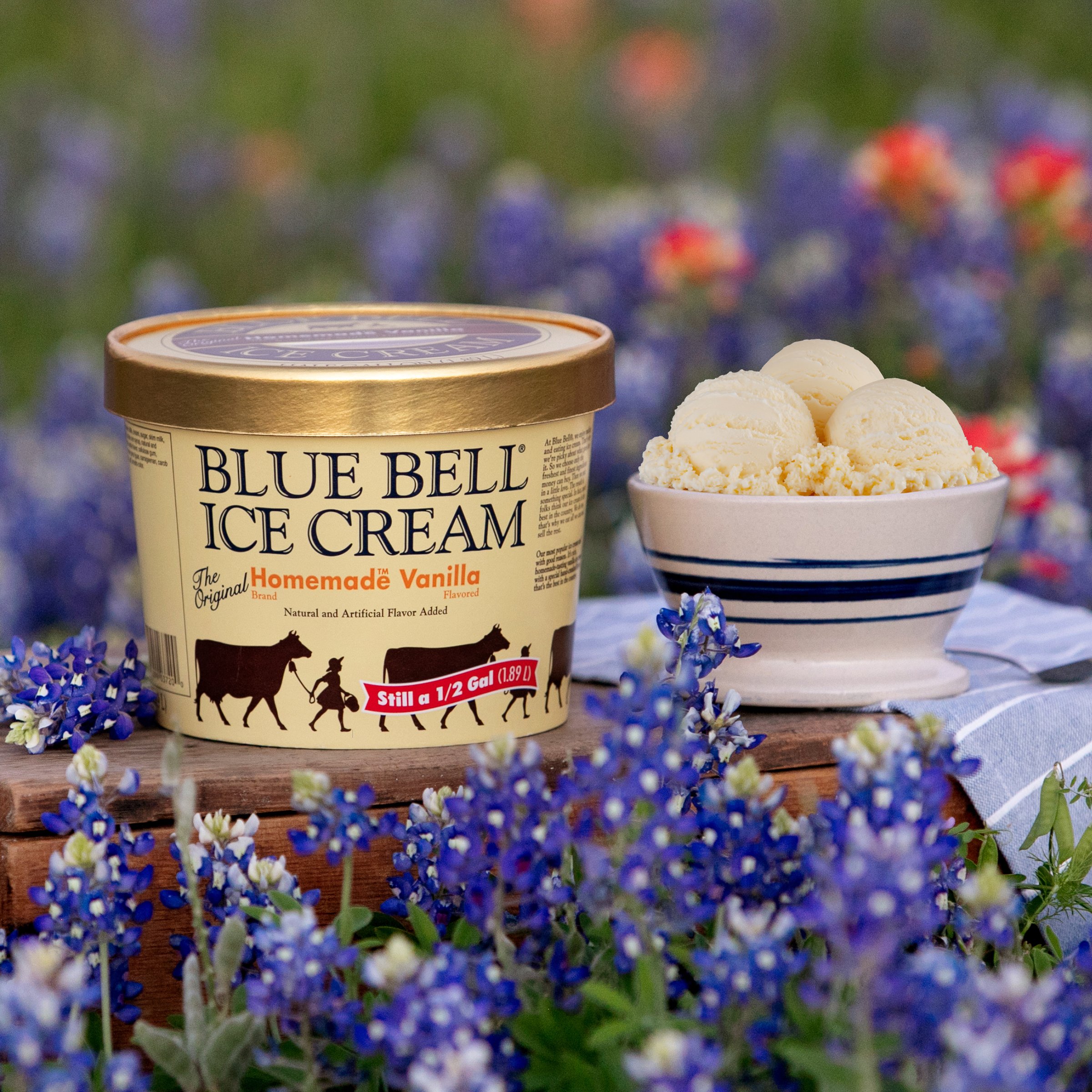 Blue Bell Homemade Vanilla Ice Cream