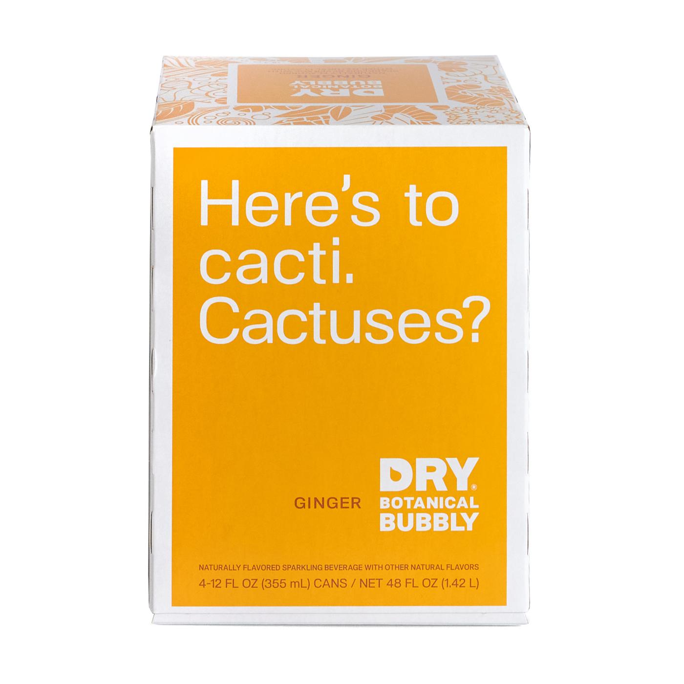 DRY Botanical Bubbly Ginger, non-alcoholic, 4 pk Cans - Shop Soda at H-E-B