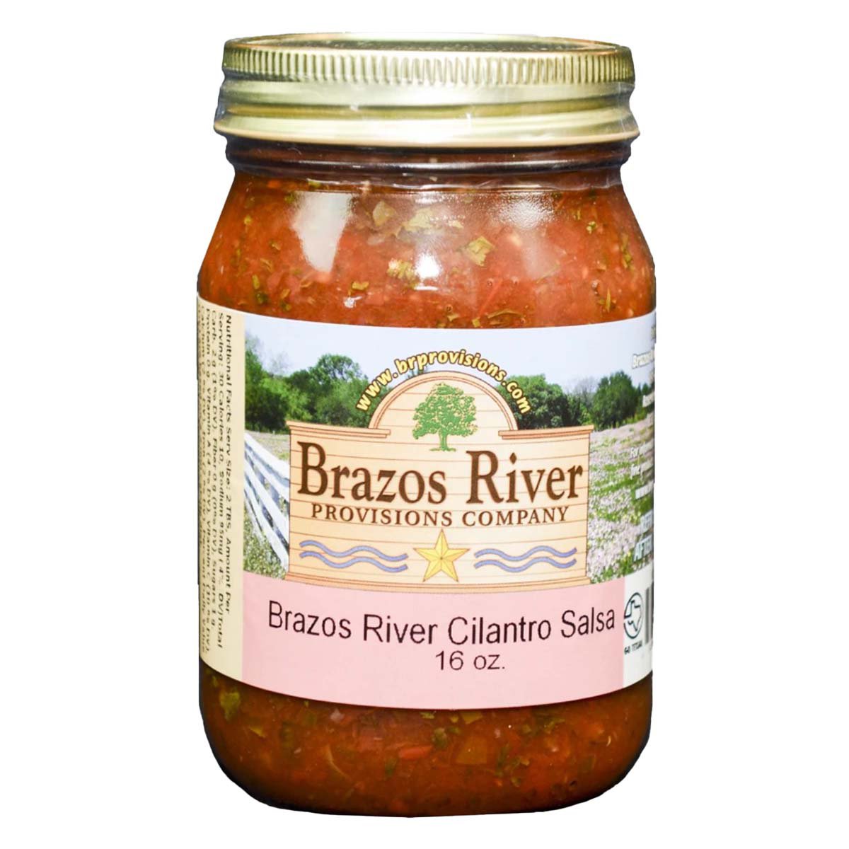 Brazos River Provisions Cilantro Salsa - Shop Salsa & dip at H-E-B