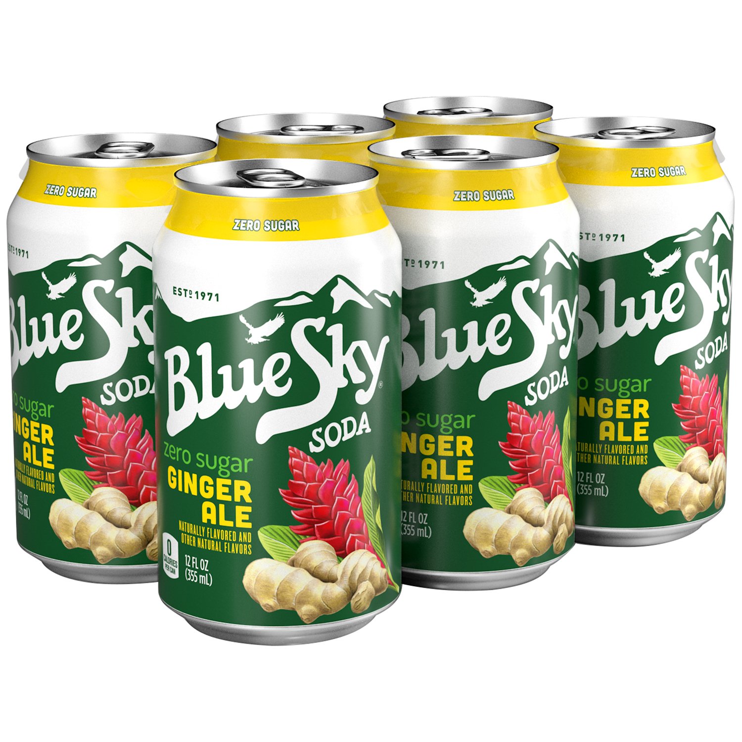 Blue Sky Ginger Ale Zero Sugar 12 oz Cans, 6 pk | Central Market ...
