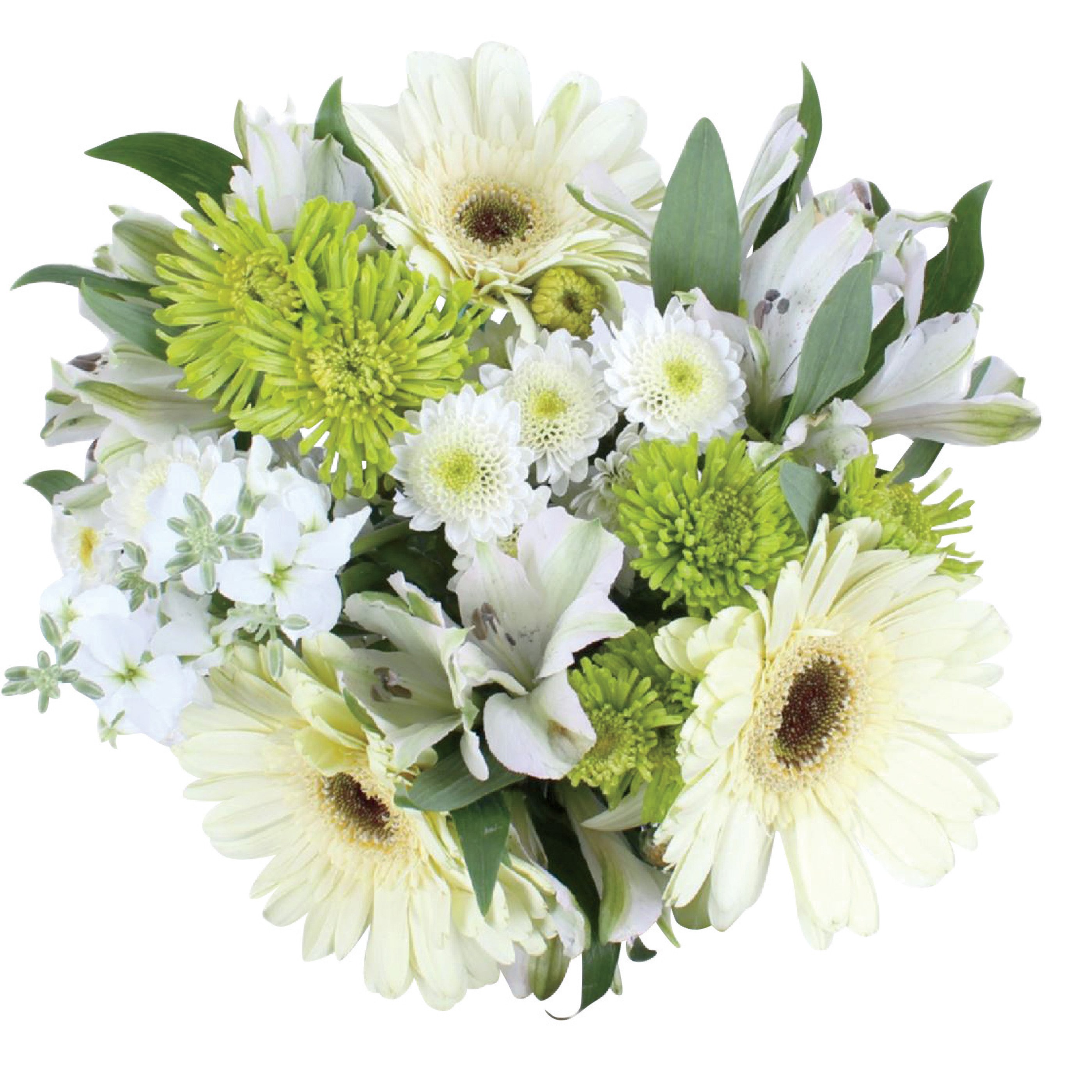 BLOOMS by H-E-B Pot O' Gold Flower Bouquet - Shop Flowers ...