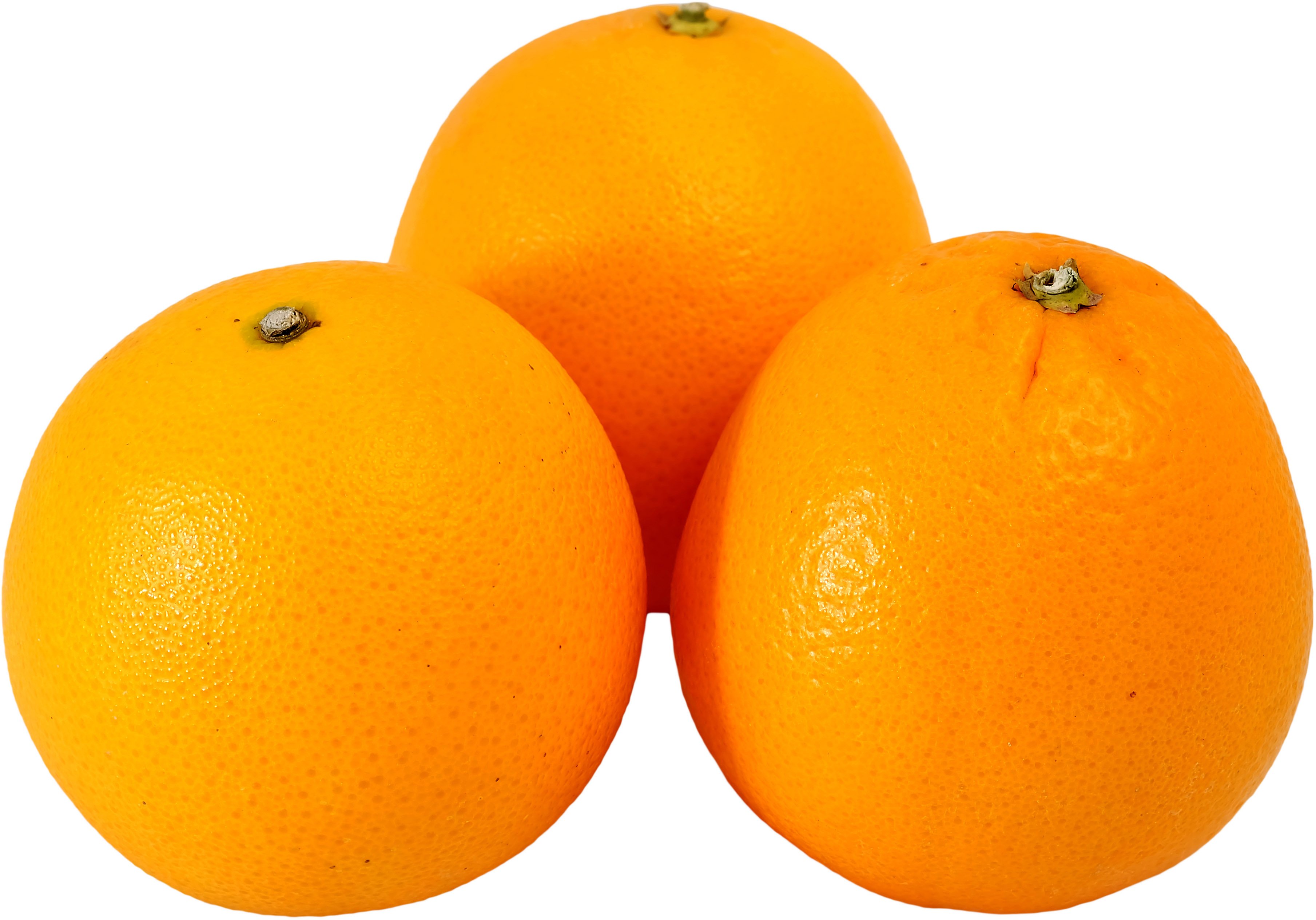 Fresh Large Valencia Oranges - Shop Citrus at H-E-B