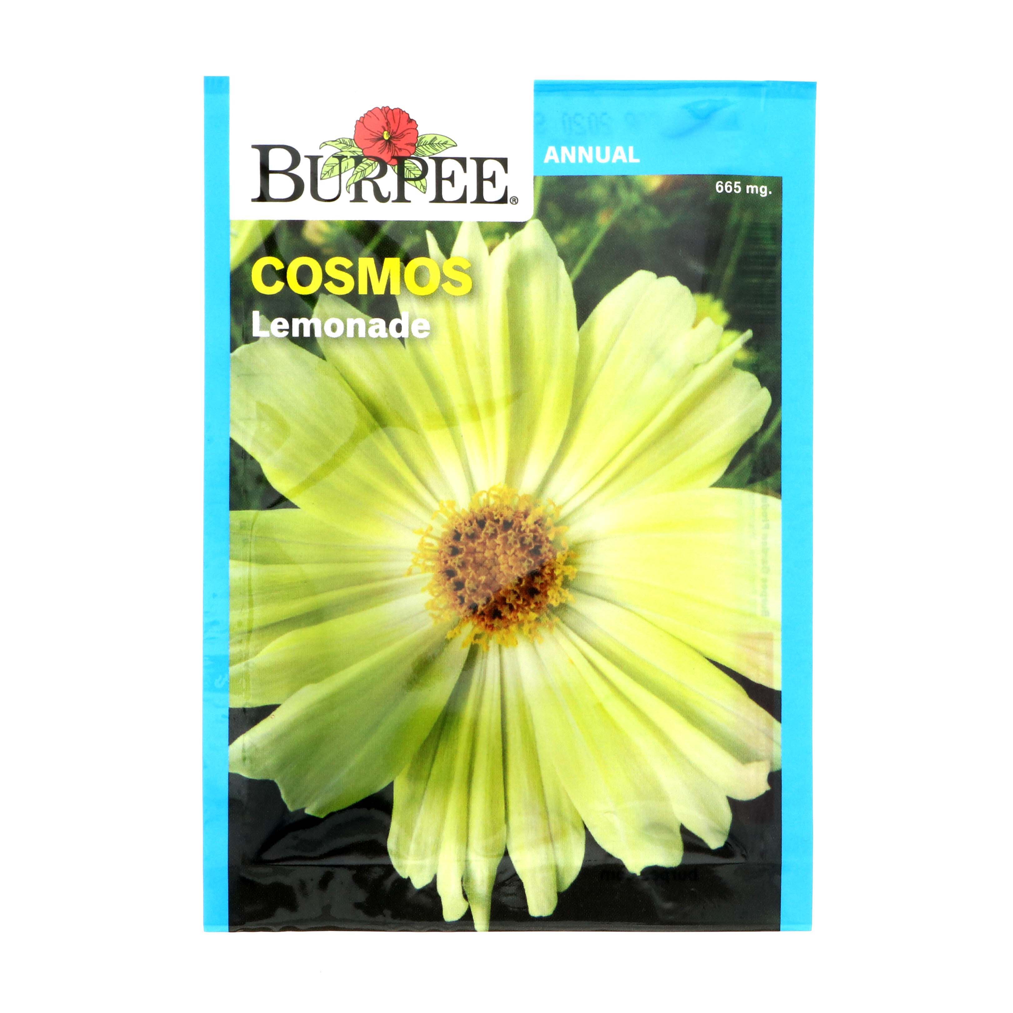 Burpee Cosmos Lemonade Seeds - Shop Seeds at H-E-B