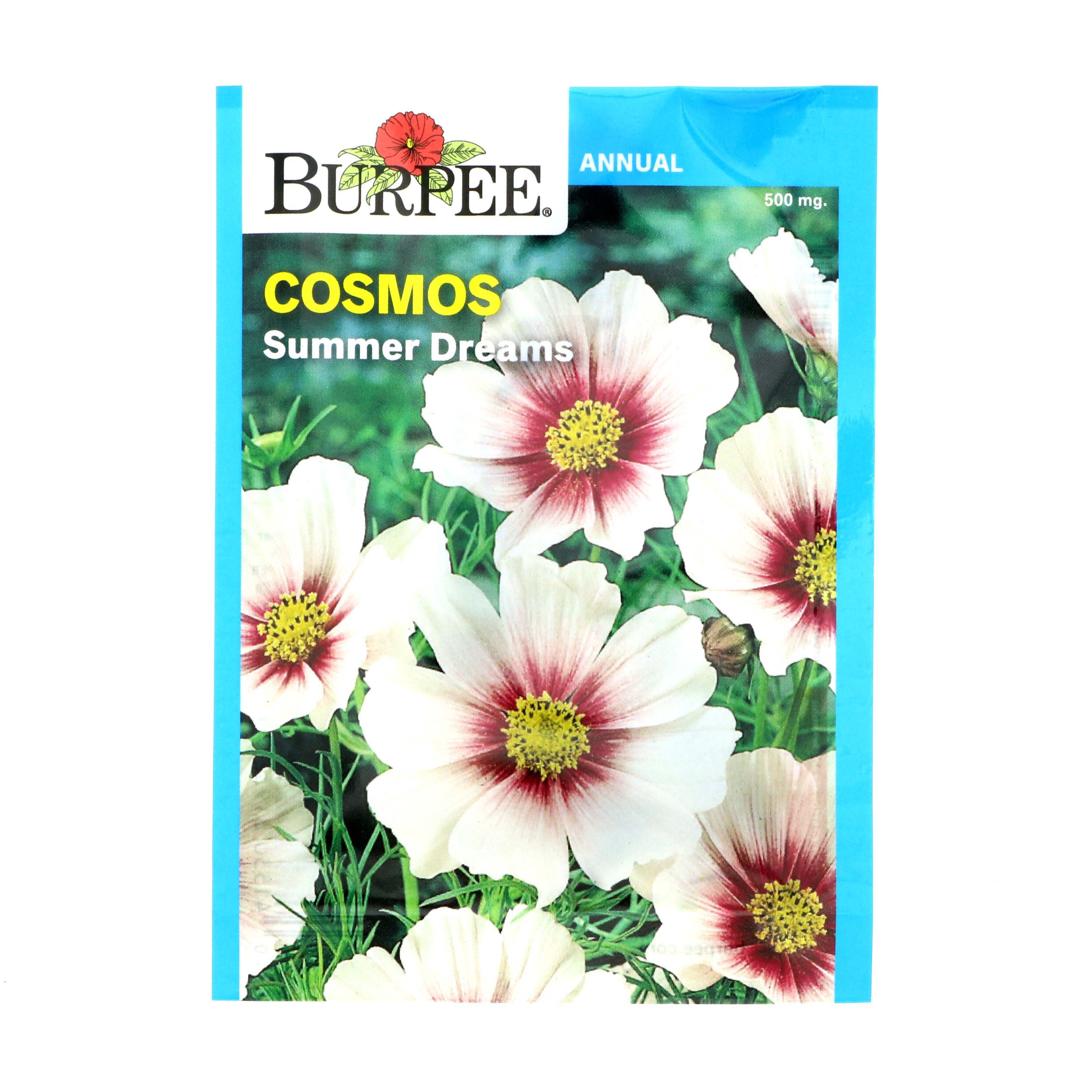 Burpee Cosmos Summer Dreams Seeds - Shop Seeds at H-E-B