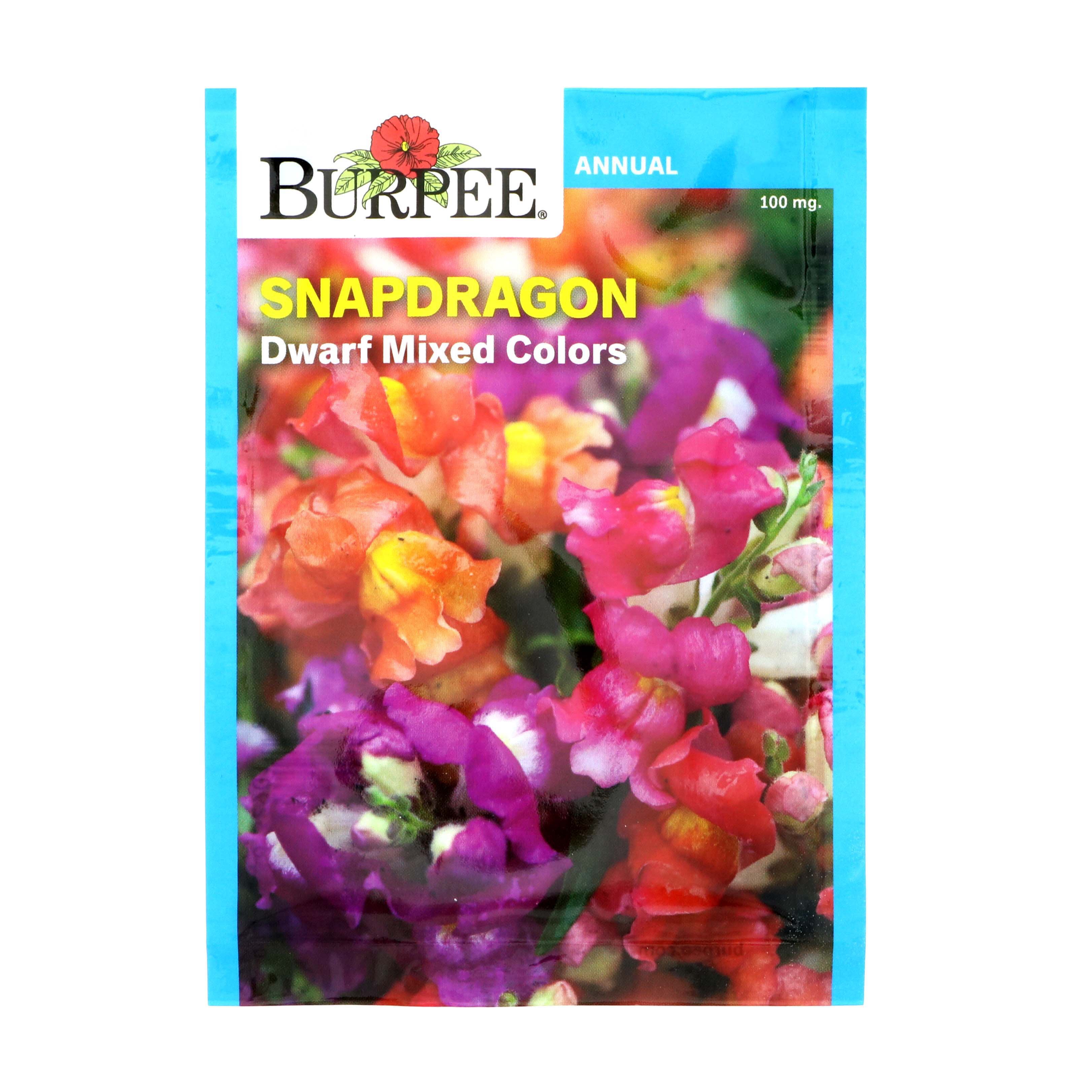 Burpee Snapdragon, Dwarf Mixed Colors Seeds - Shop Seeds at H-E-B