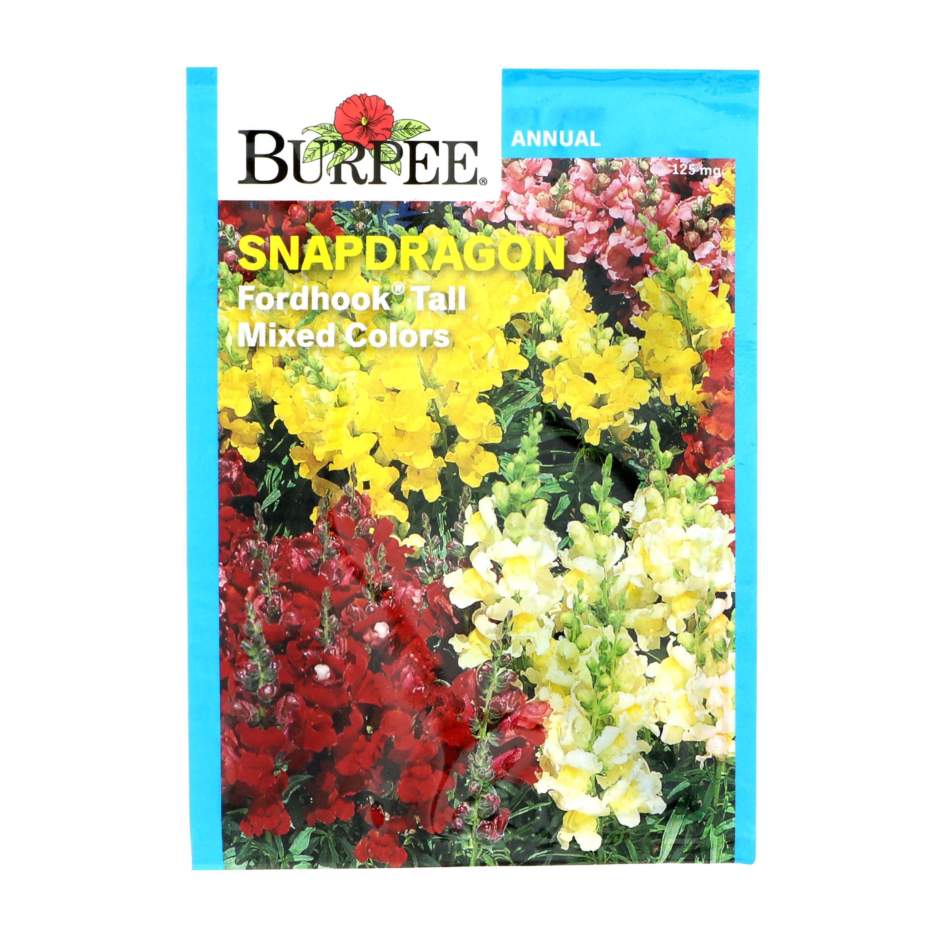 Burpee Snapdragon, Fordhook Tall Mixed Colors Seeds - Shop Seeds at H-E-B