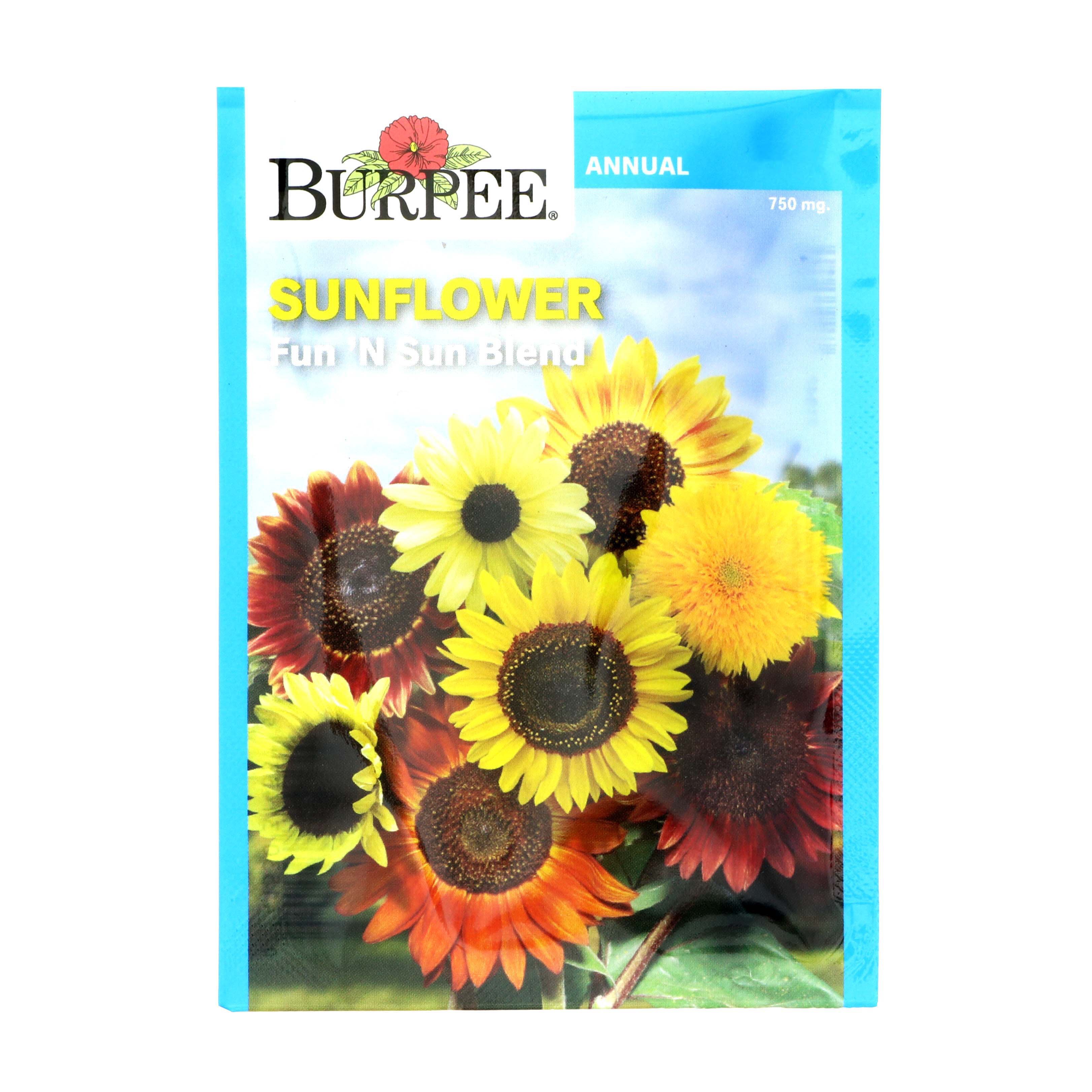 Burpee Sunflower, Fun 'N Sun Blend Flower Seeds - Shop Patio & Outdoor ...