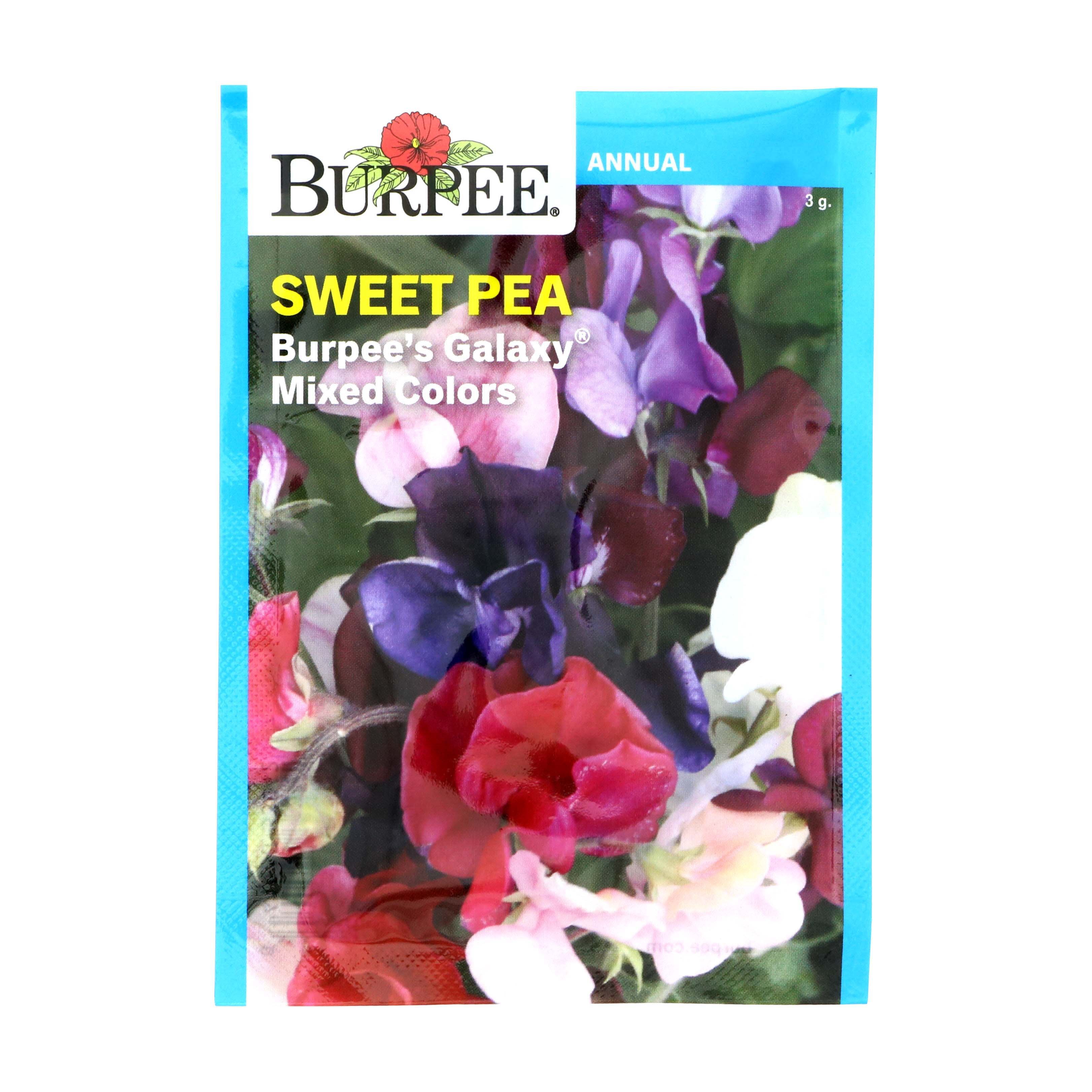Burpee Sweet Pea, Burpee's Galaxy Mixed Colors Seeds - Shop Seeds at H-E-B