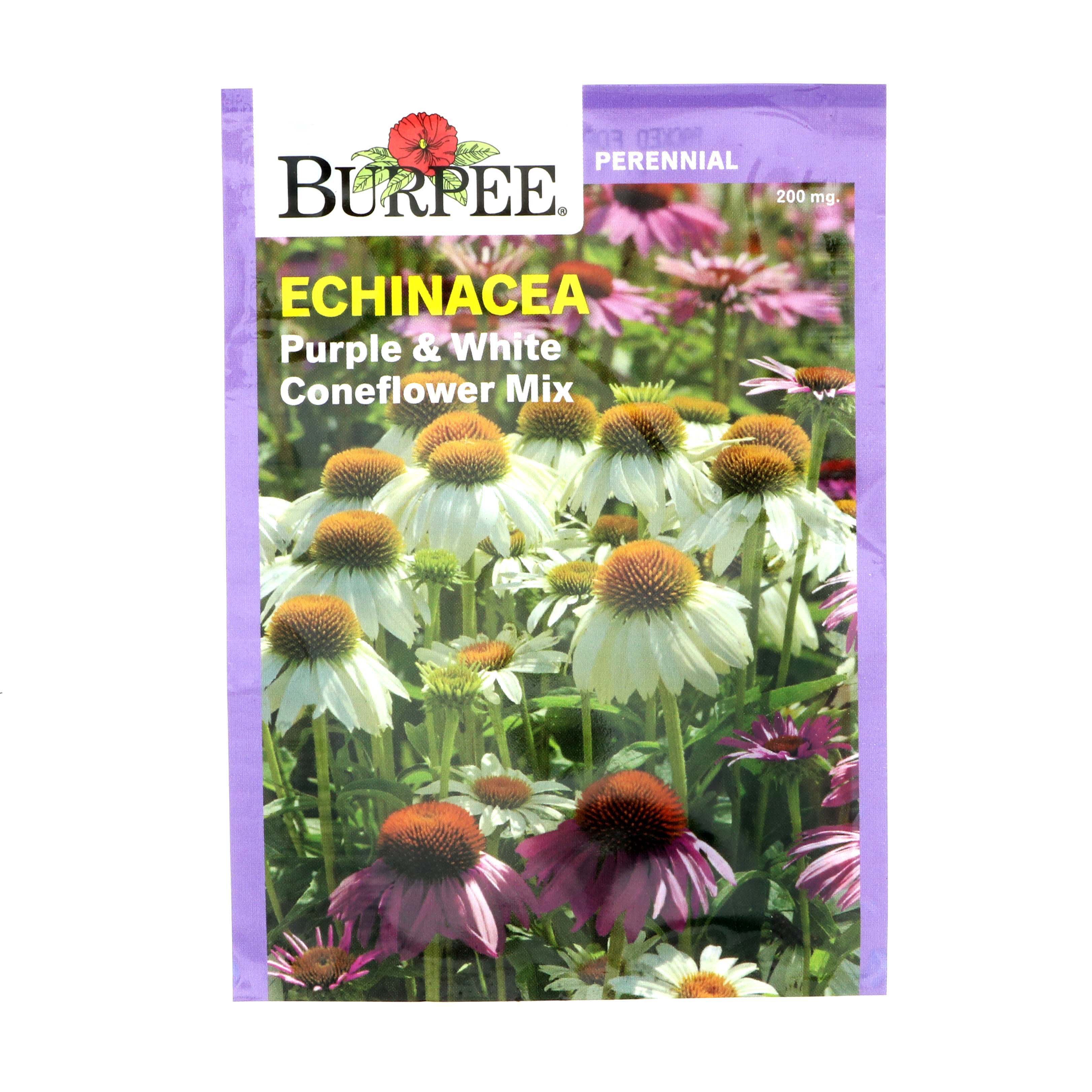 Burpee Purple & White Coneflower Mix Echinacea Perennial Flower Seeds ...
