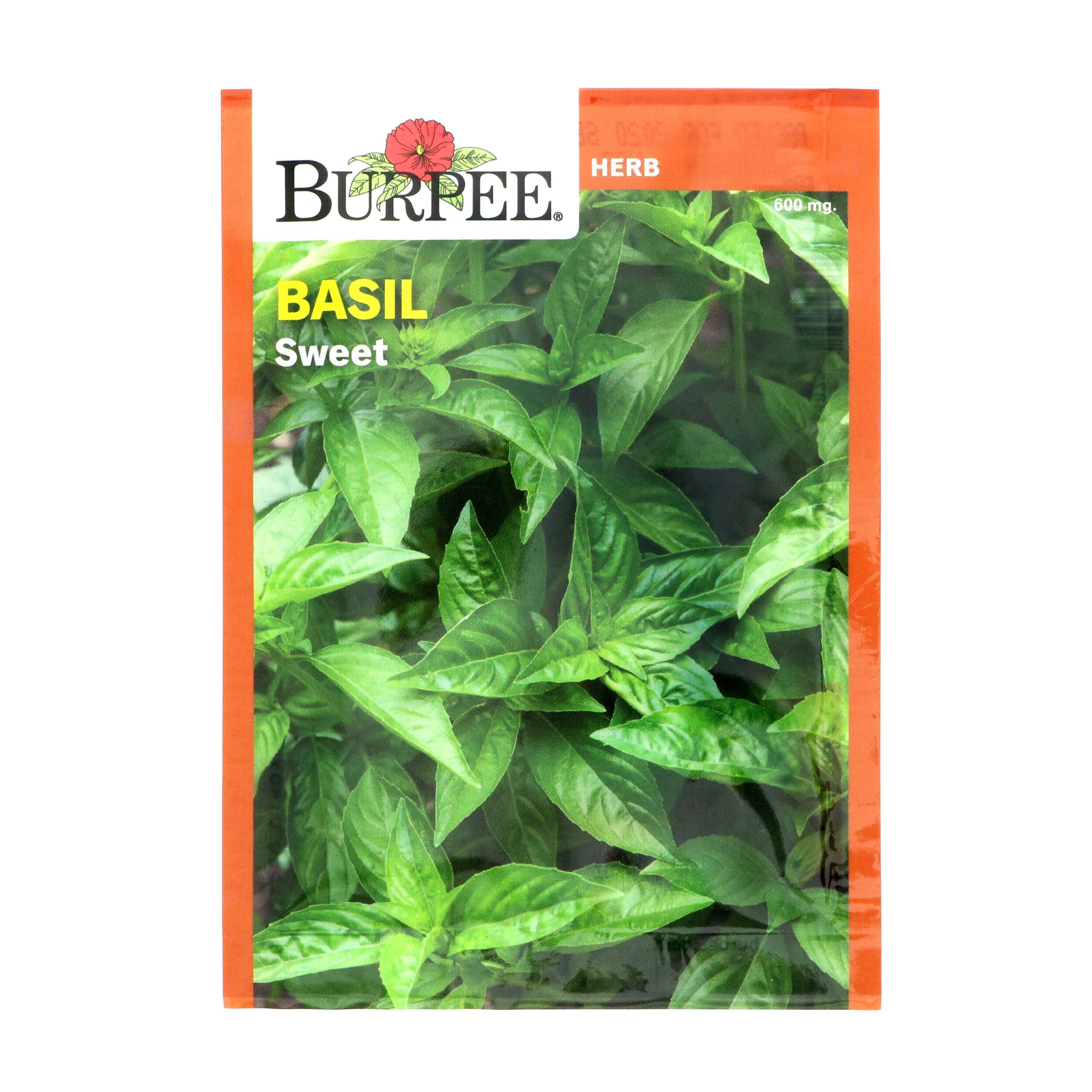 Burpee Sweet Basil Seeds - Shop Seeds at H-E-B