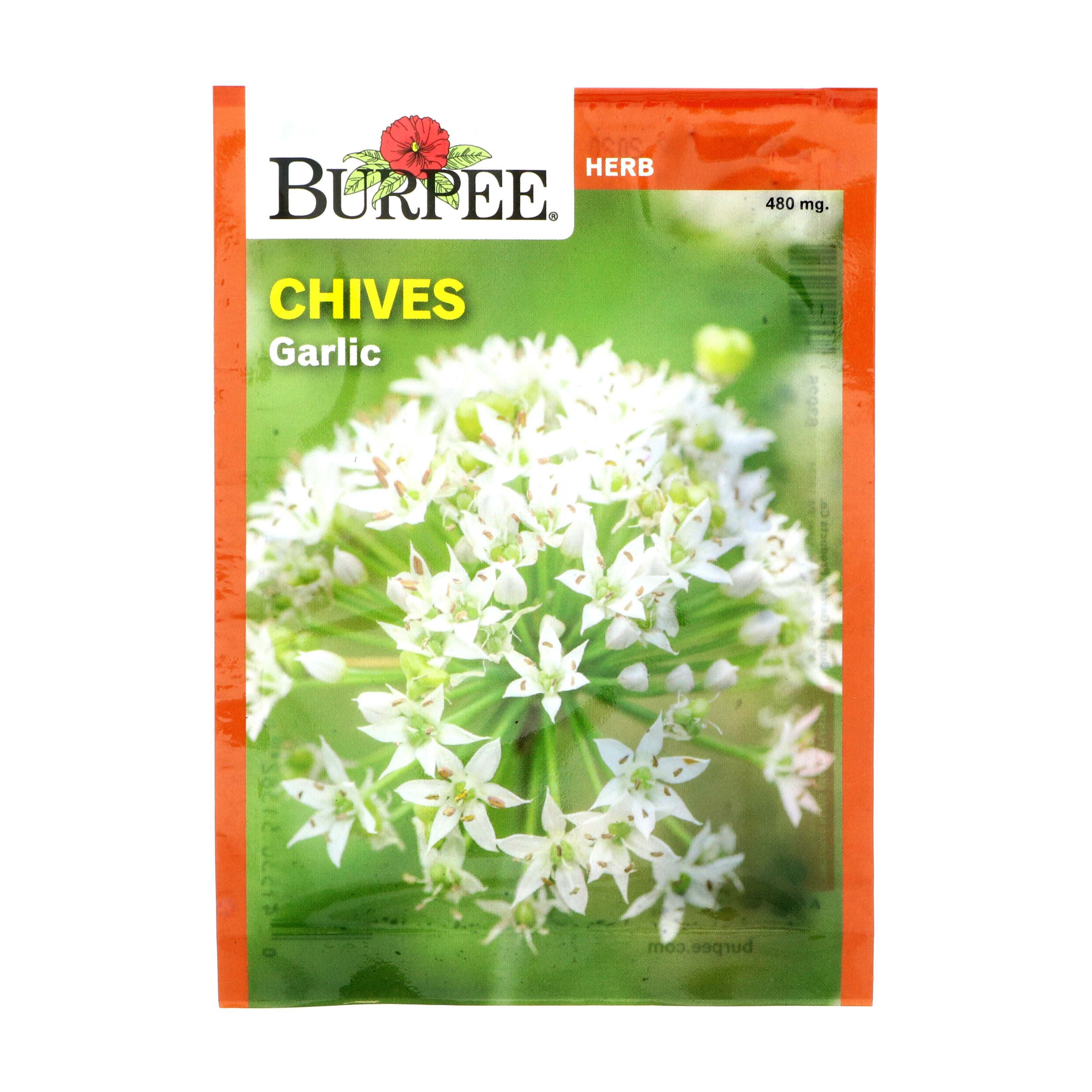 Burpee Chives Garlic Herb Seeds - Shop Seeds at H-E-B