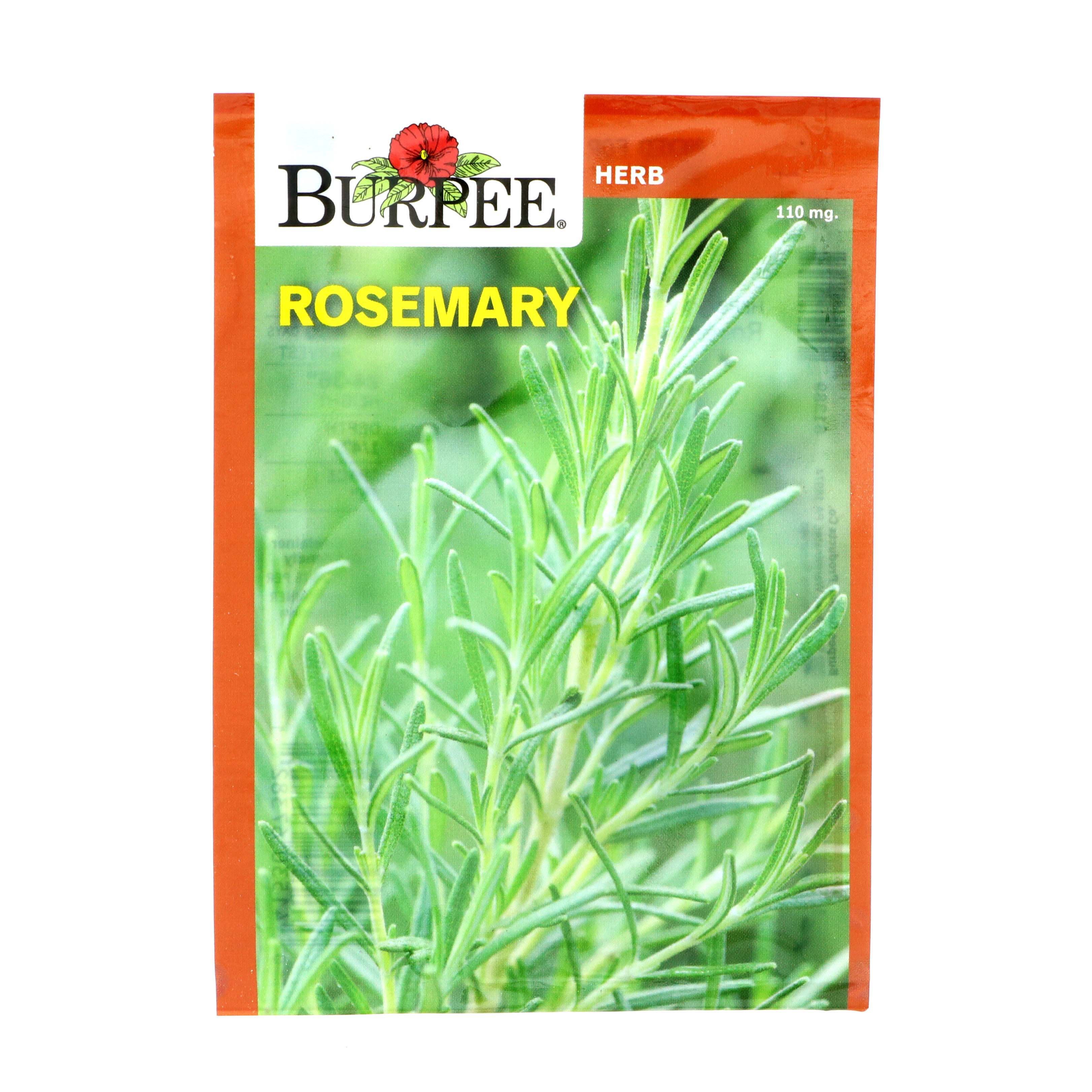 Burpee Rosemary Herb Seeds - Shop Patio & Outdoor at H-E-B