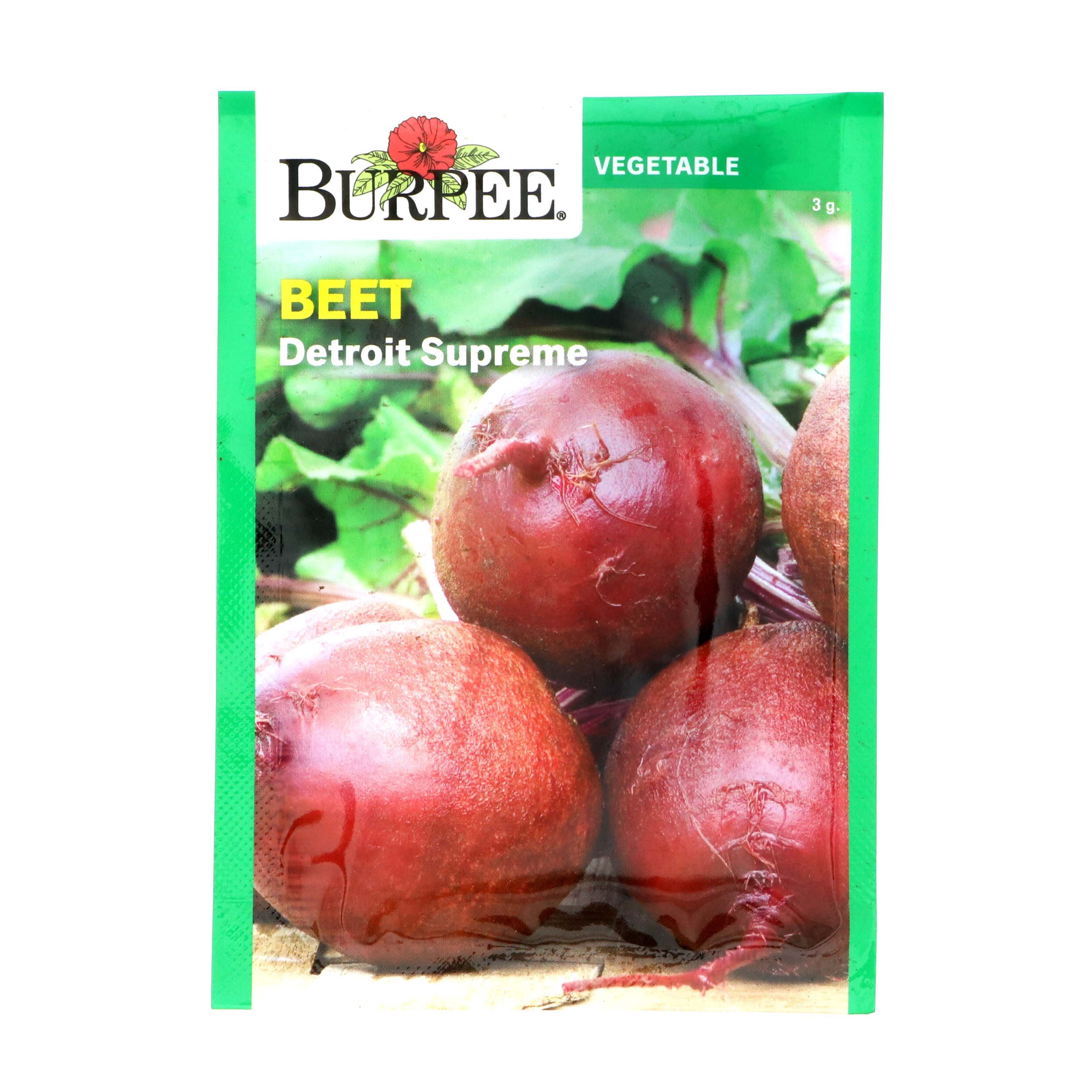 Burpee Detroit Supreme Beet Vegetable Seeds - Shop Seeds at H-E-B
