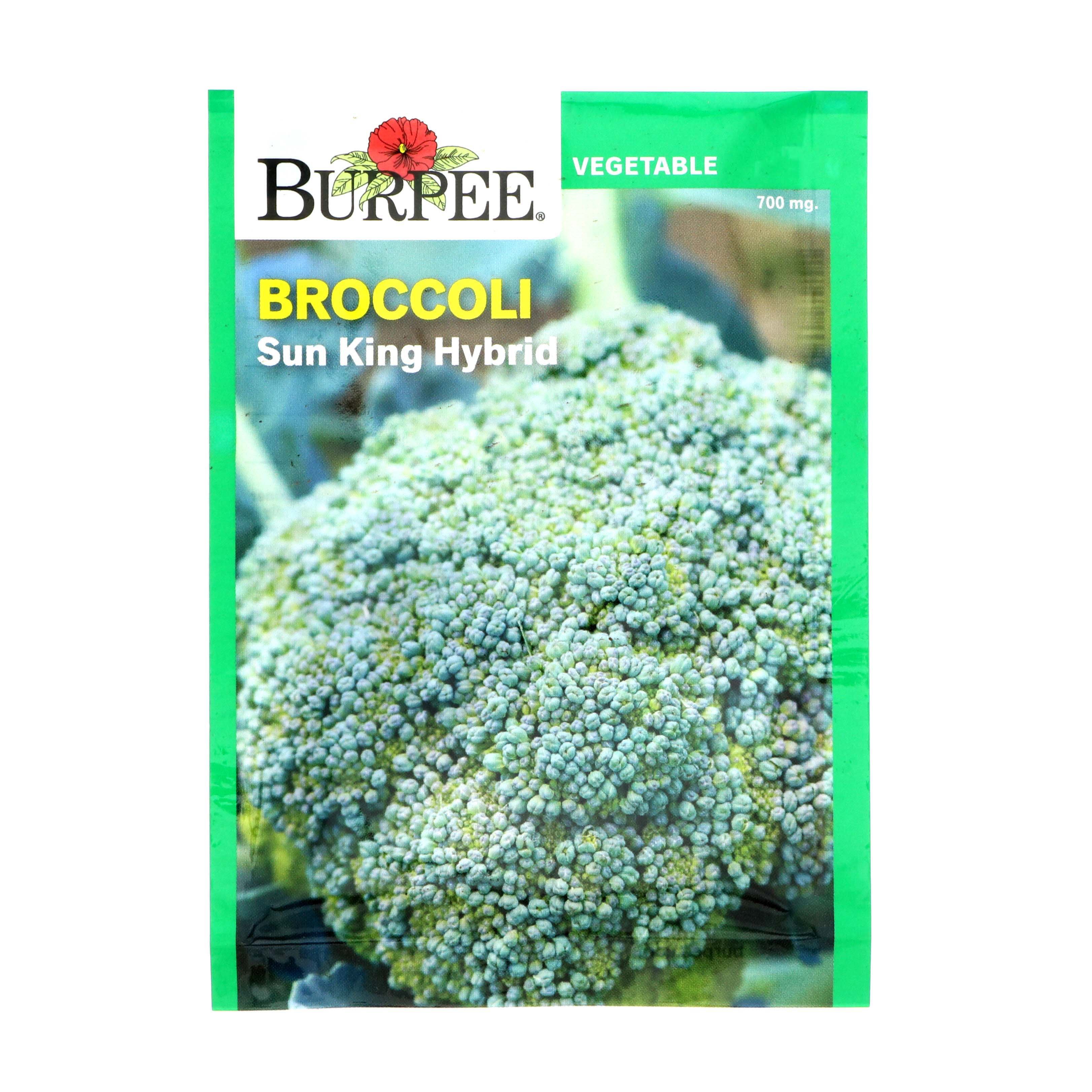Burpee Broccoli Sun King Hybrid Seeds - Shop Patio & Outdoor at H-E-B