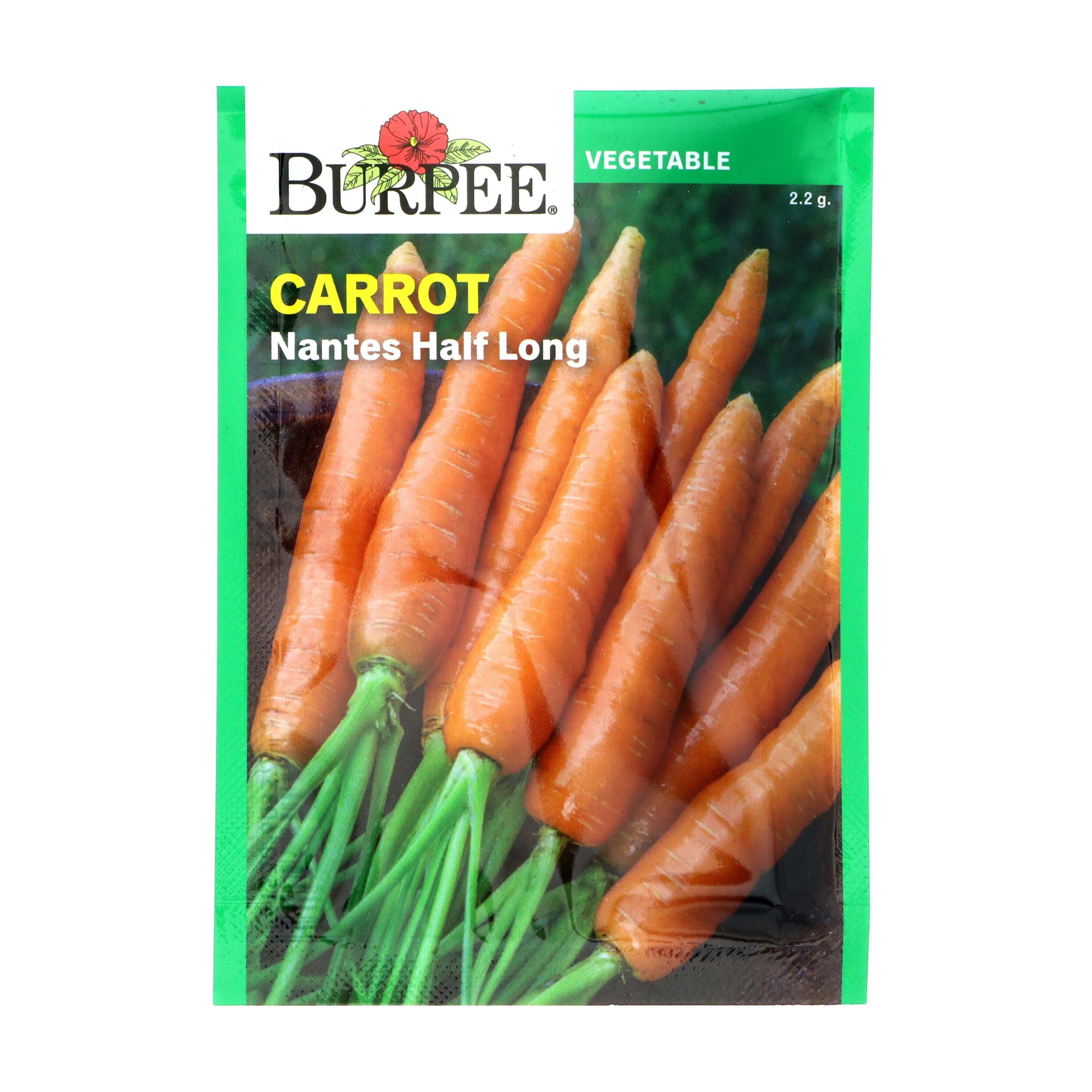Burpee Carrot Nantes Half Long Vegetable Seeds - Shop Patio & Outdoor ...