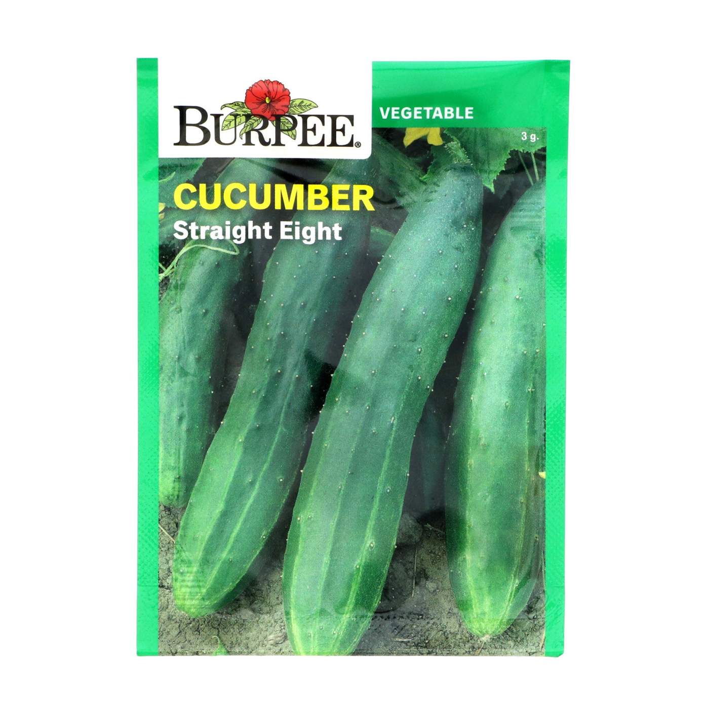 Burpee Straight Eight Cucumber Vegetable Seeds - Shop Seeds at H-E-B