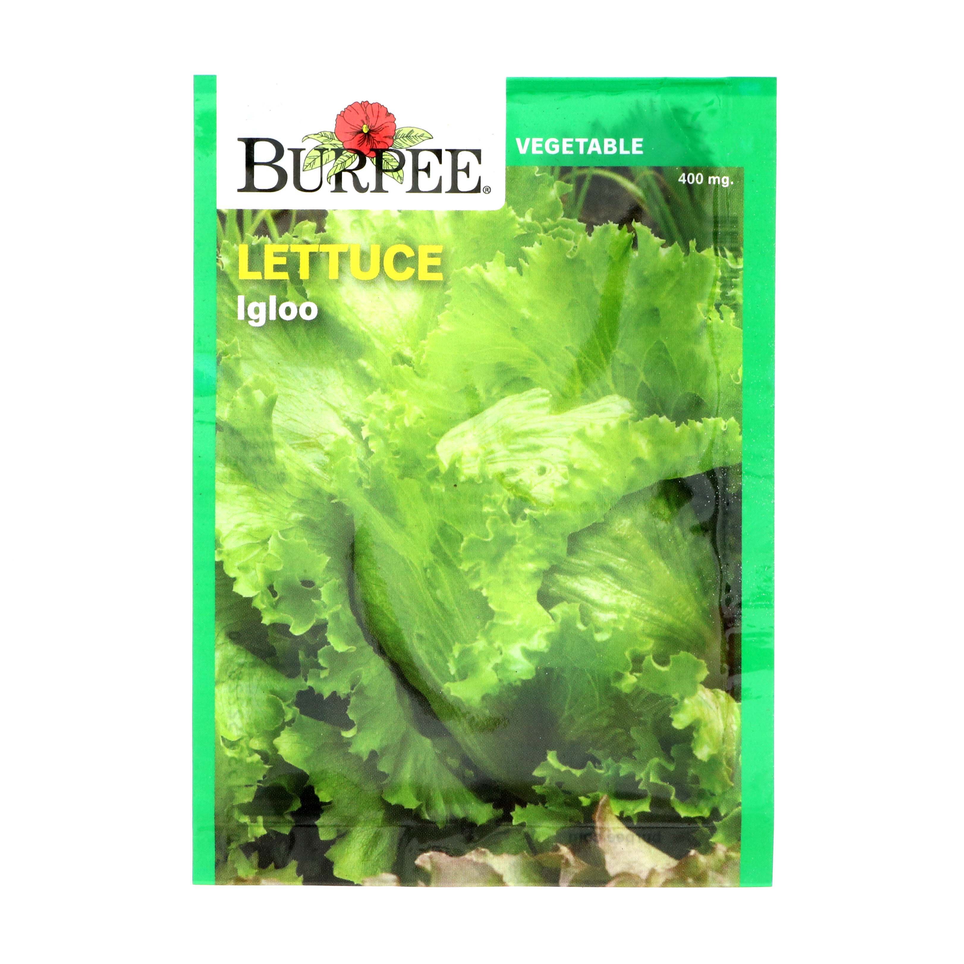 Burpee Igloo Lettuce Seeds - Shop Patio & Outdoor at H-E-B