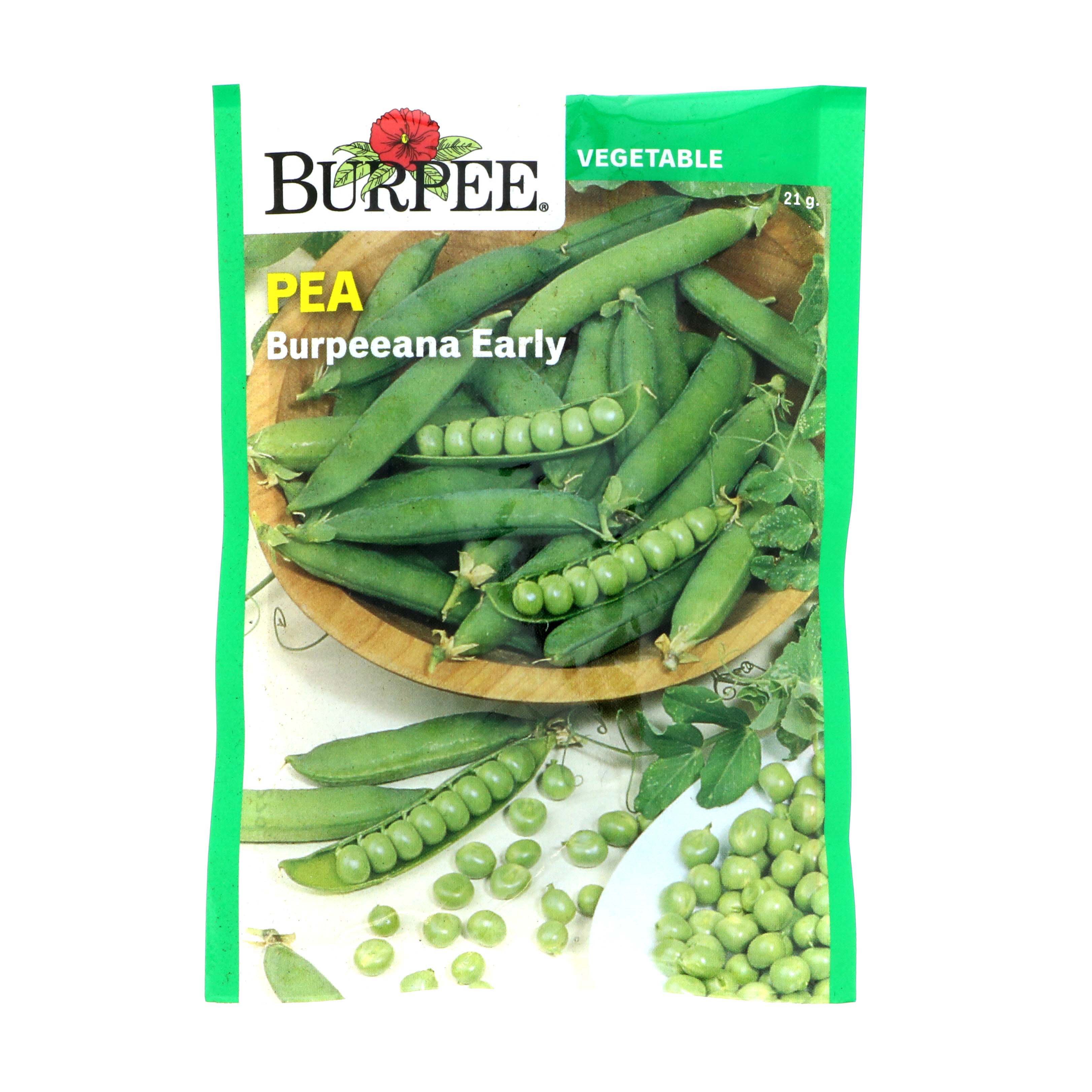 Burpee Pea Burpeeana Early Seeds - Shop Seeds at H-E-B