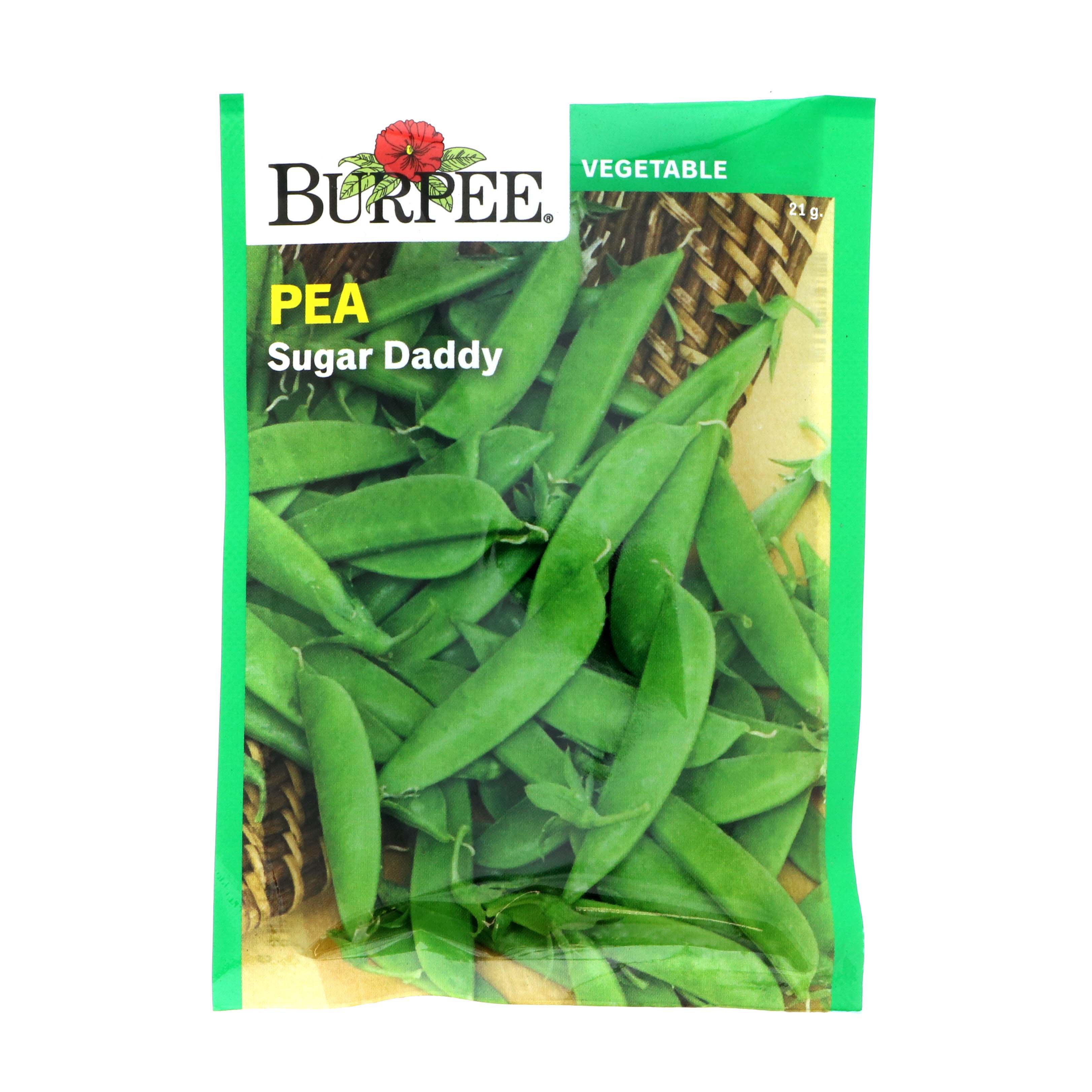 Burpee Sugar Daddy Pea Seeds - Shop Seeds at H-E-B