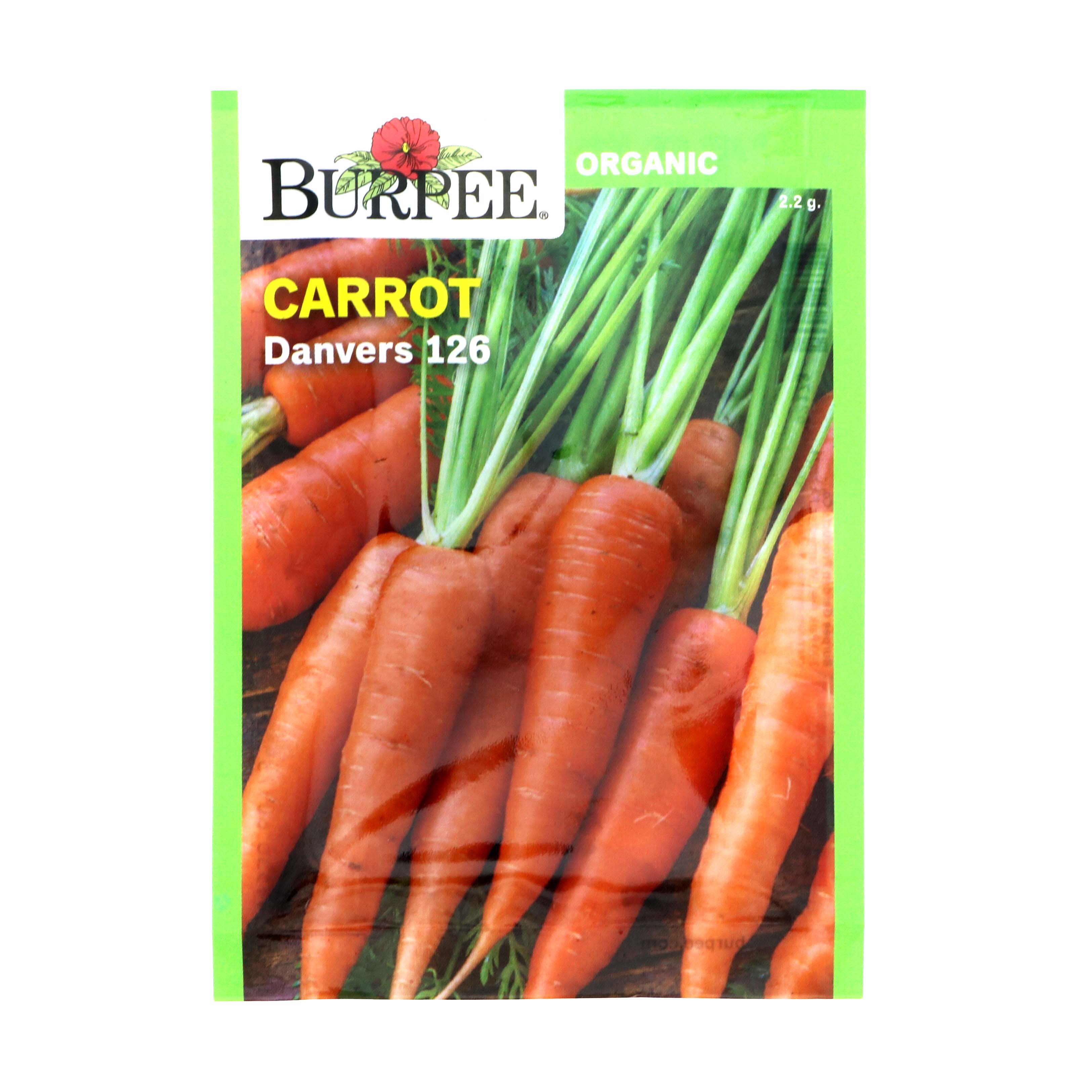 Burpee Organic Danvers 126 Carrot Seed Packet - Shop Seeds at H-E-B