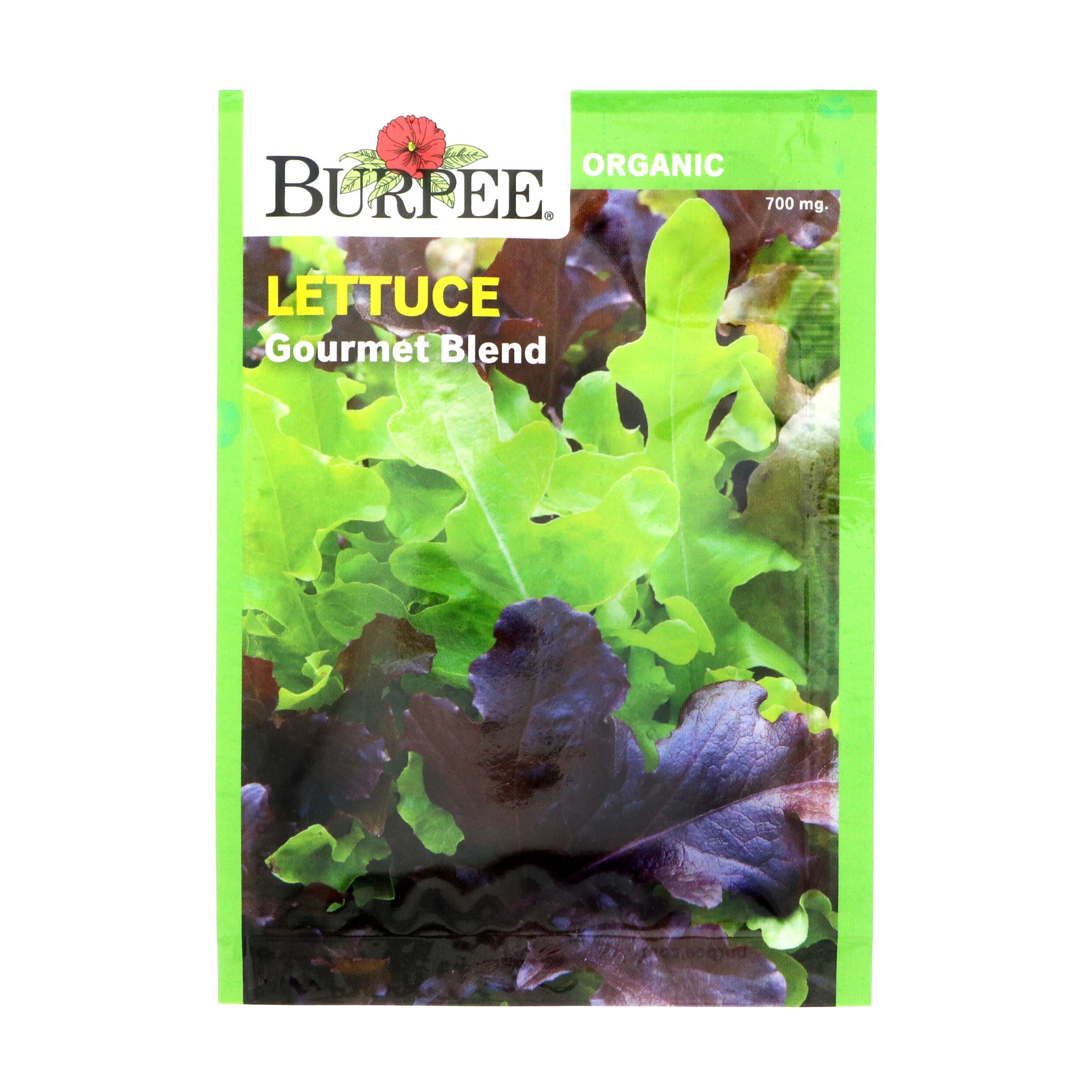 Burpee Organic Gourmet Blend Lettuce Vegetable Seeds - Shop Seeds at H-E-B