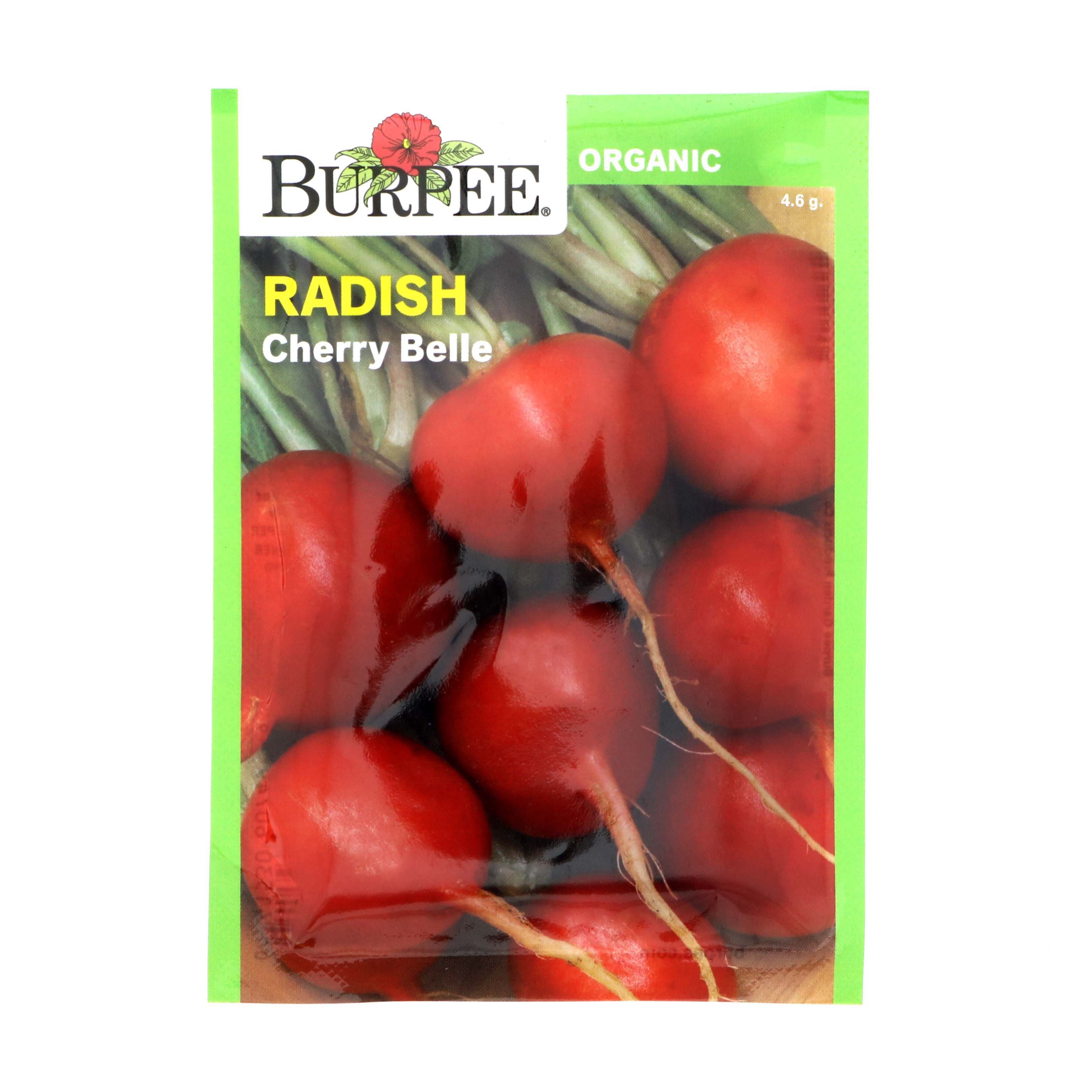 Burpee Organic Cherry Belle Radish Seeds - Shop Seeds at H-E-B
