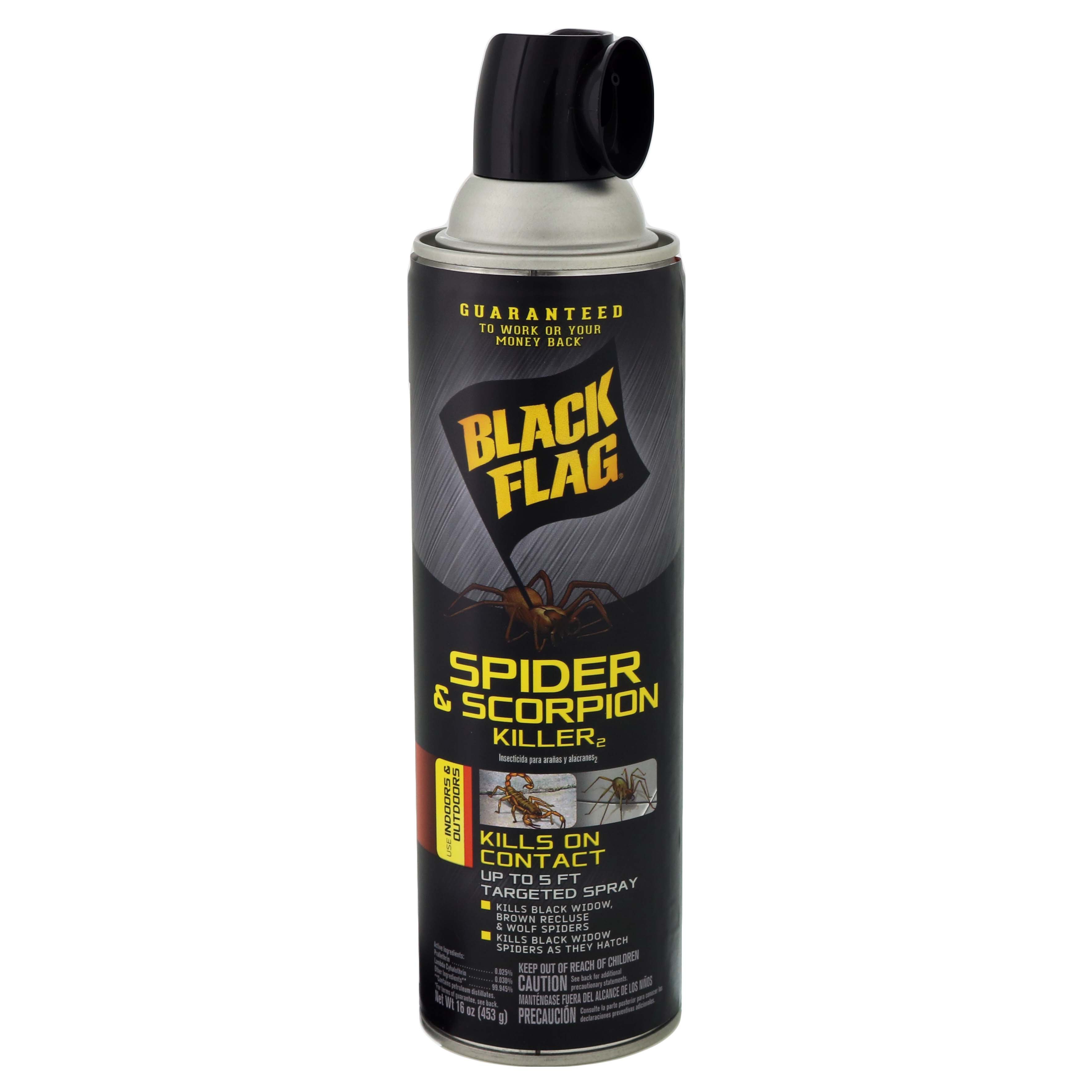 Black Flag Spider and Scorpion Killer Aerosol Insecticide Spray - Shop ...