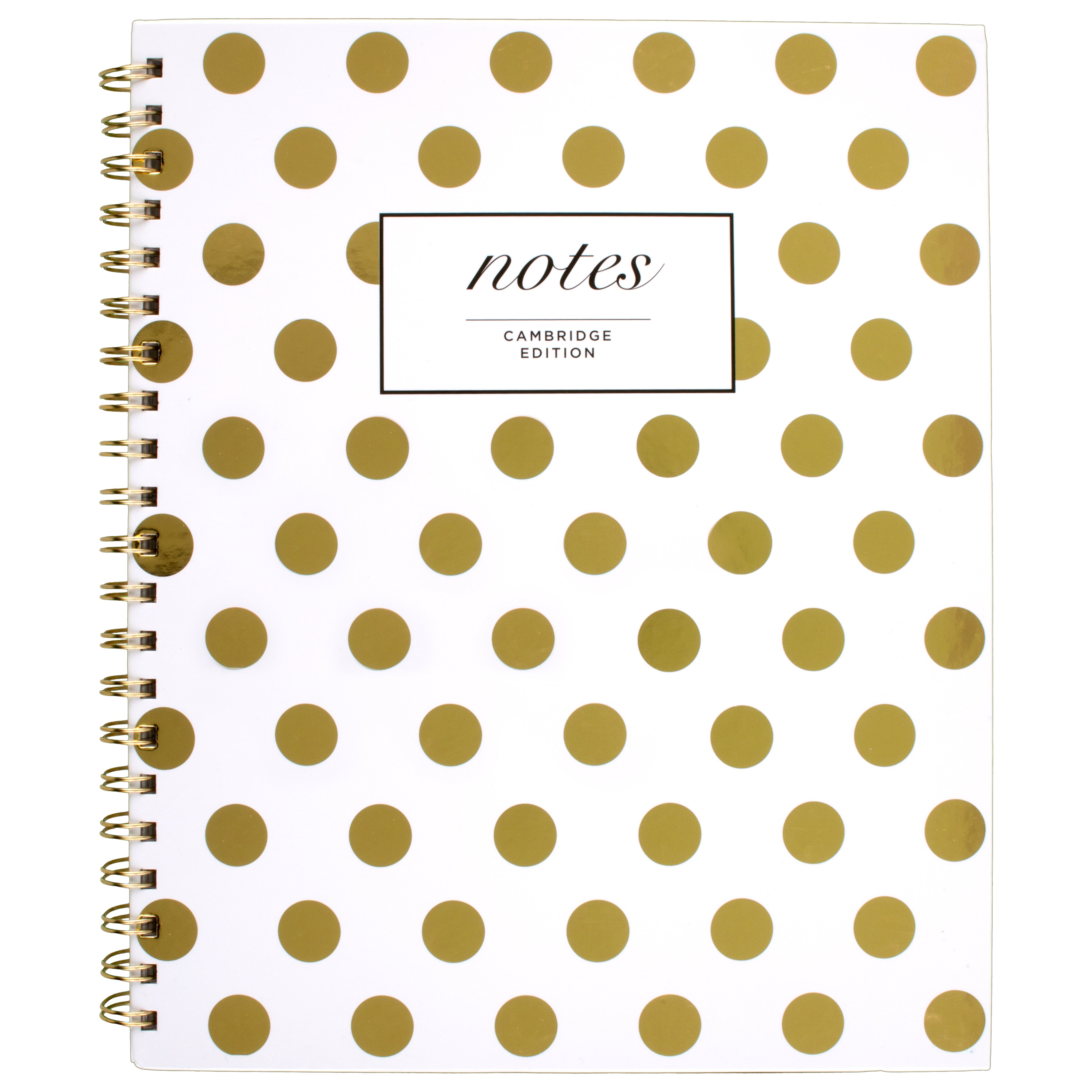 Cambridge Fashion Hardcover Gold Dot Business Notebook - Shop Notebooks ...