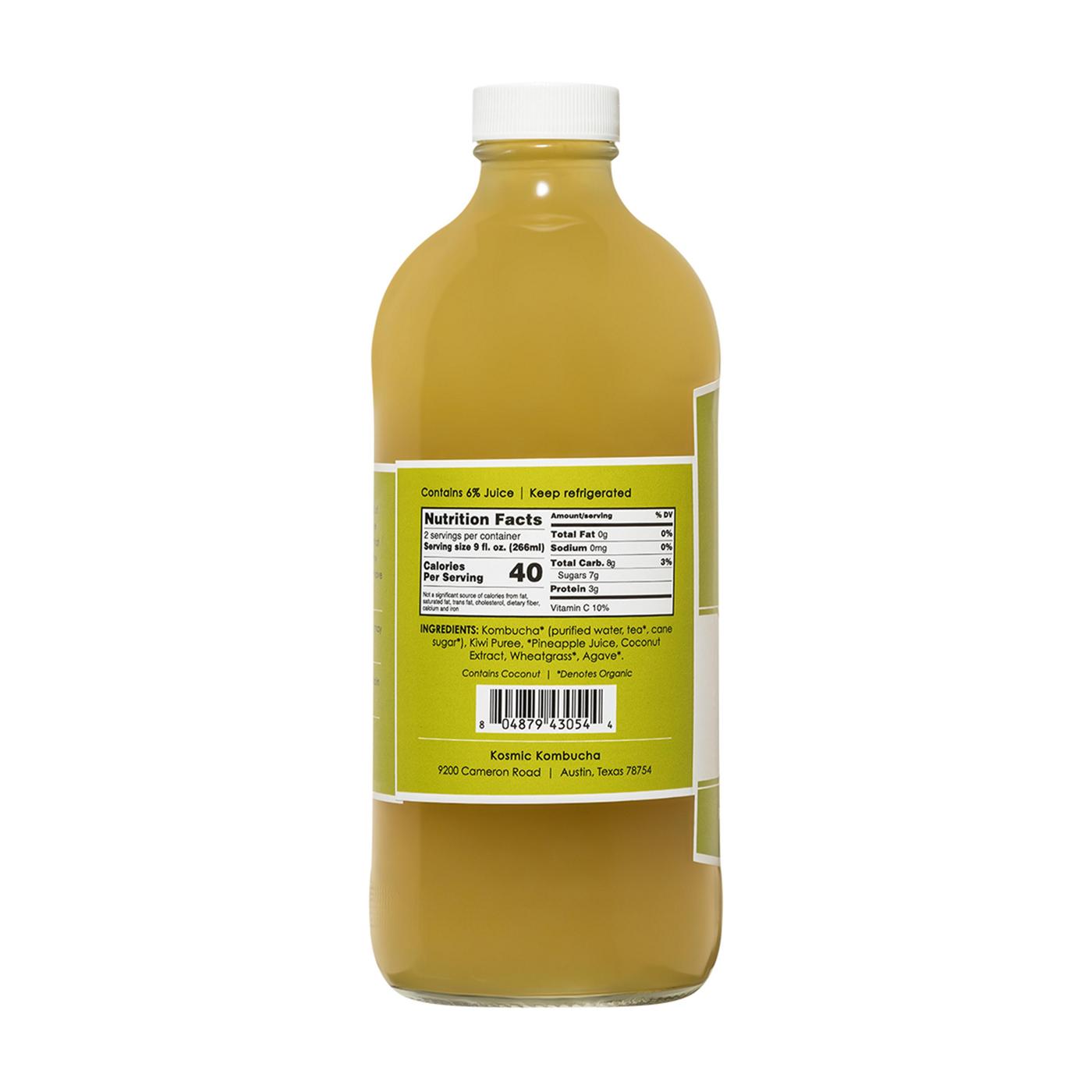 Kosmic Kombucha Groovy Green Kombucha - Shop Tea at H-E-B
