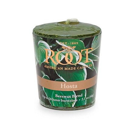 Root 20 Hour Votive Hosta, ea | Central Market - Really Into Food