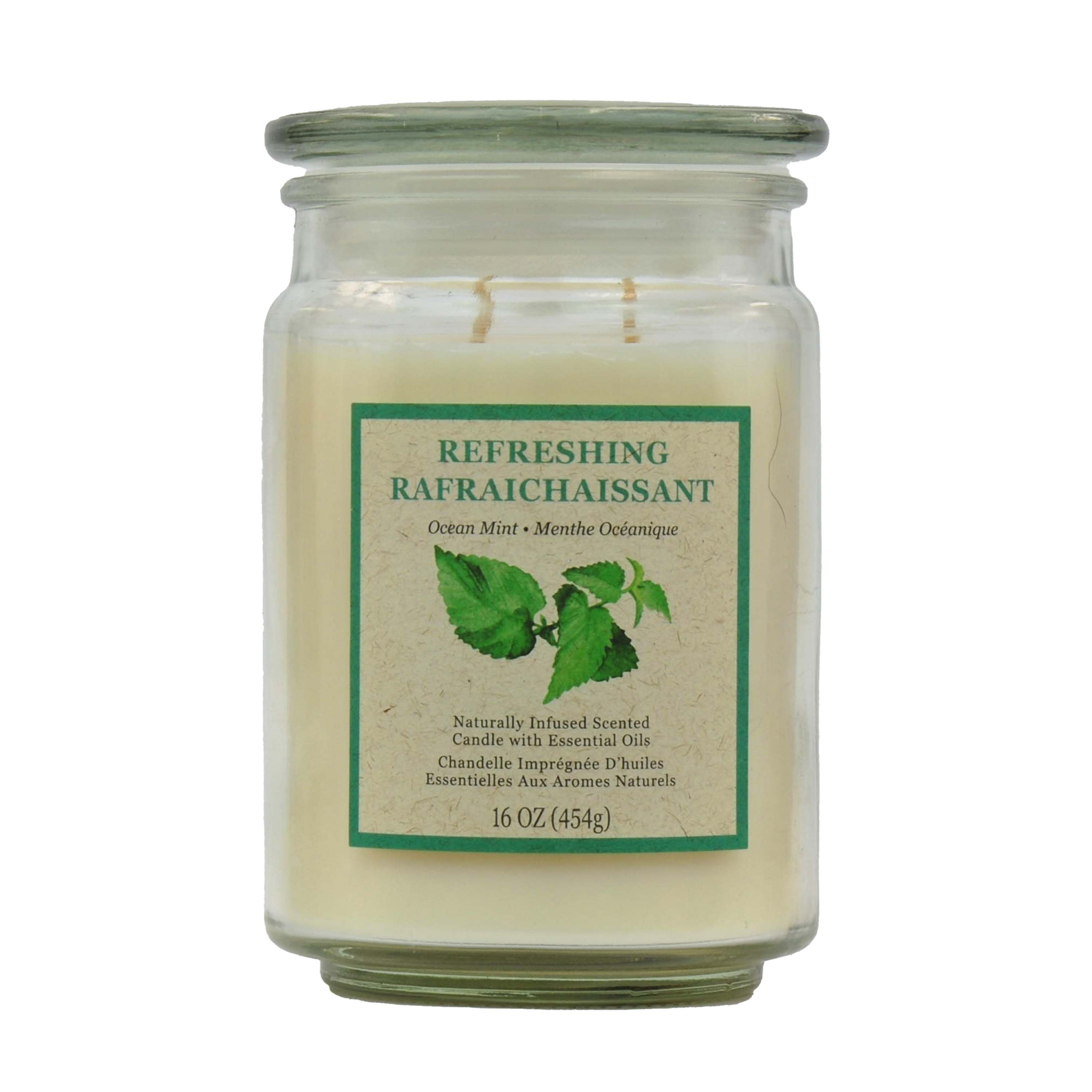 Star Candle Ocean Mint Scented Refreshing Candle - Shop Candles at H-E-B
