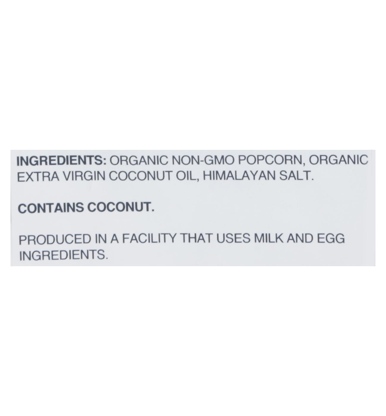 LesserEvil Organic Popped Popcorn Snack Packs - Himalayan Pink Salt ...