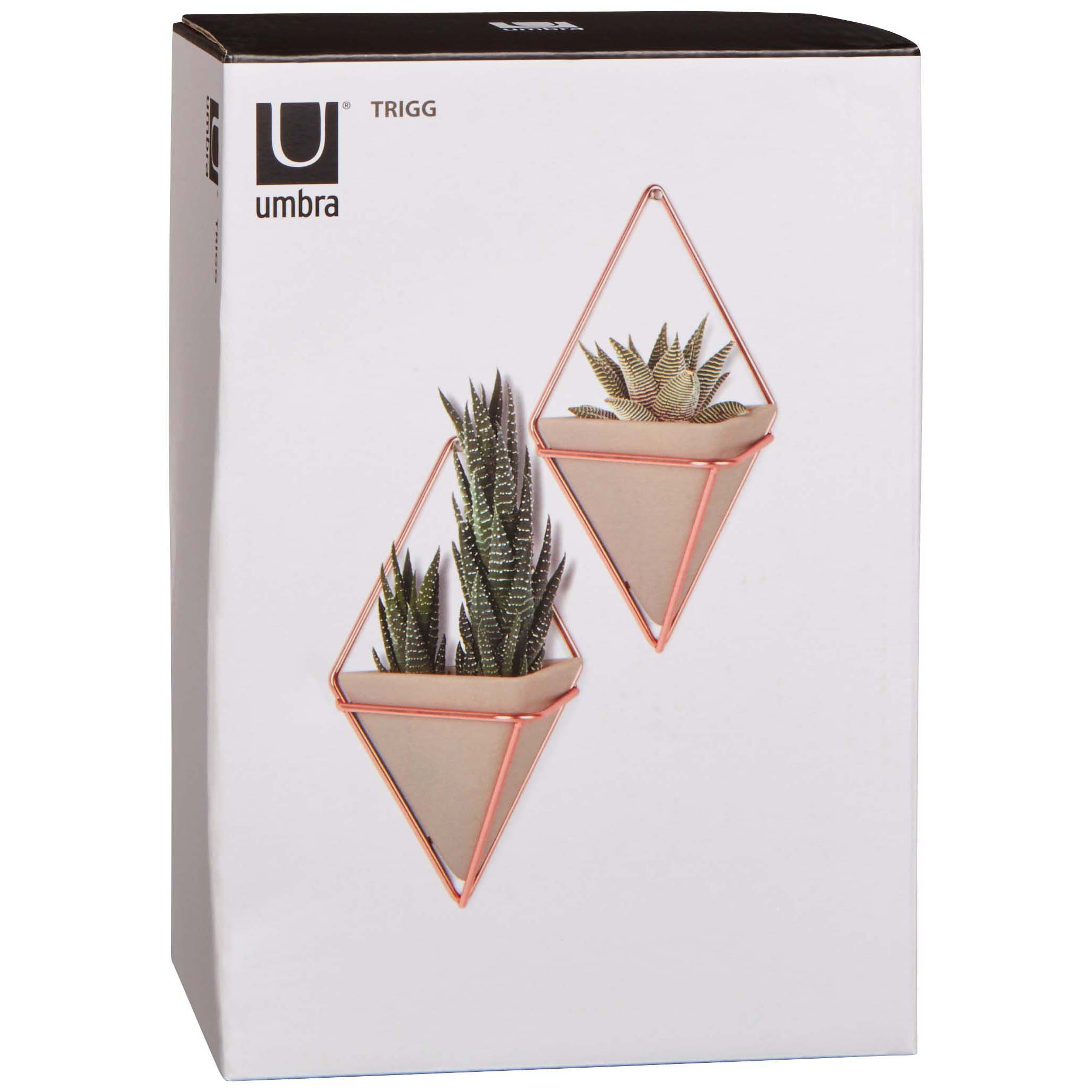 Umbra Umbra Trigg Wall Display 2 Pack - Shop Storage bins at H-E-B