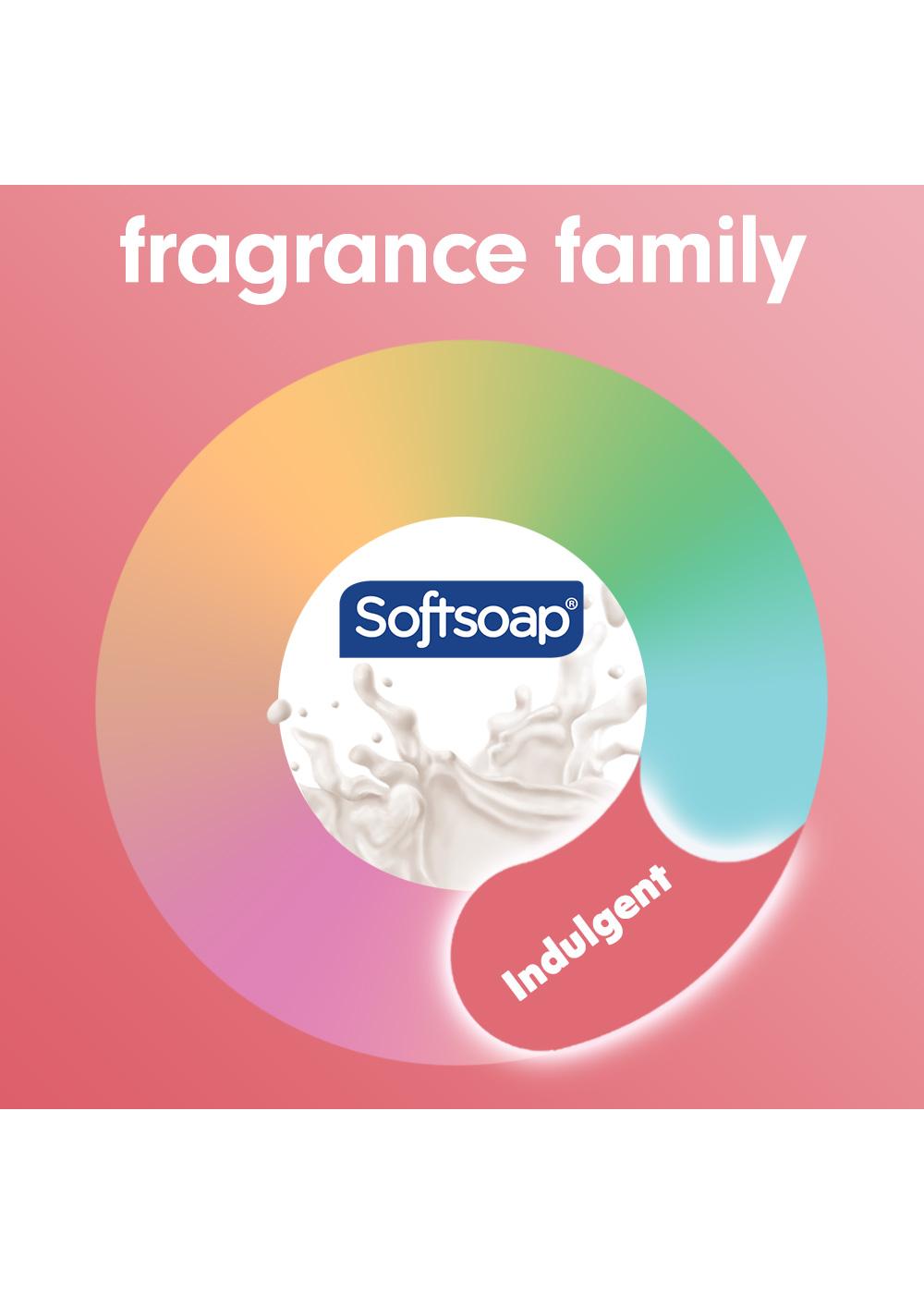 Softsoap Pump Body Wash - Coconut Butter Scrub - Shop Body wash at H-E-B