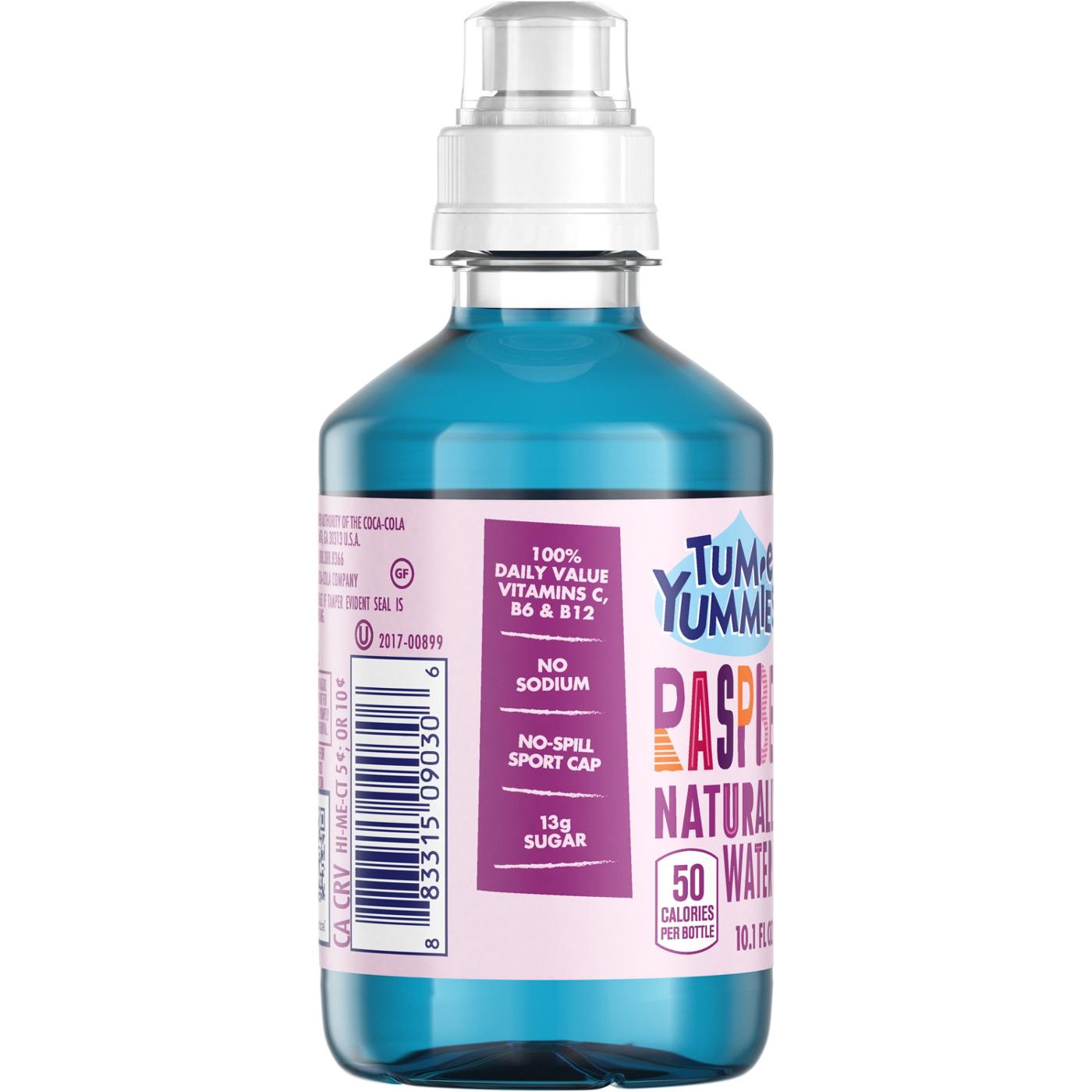 Tum-E Yummies Rad Raspberry Zing - Shop Juice at H-E-B