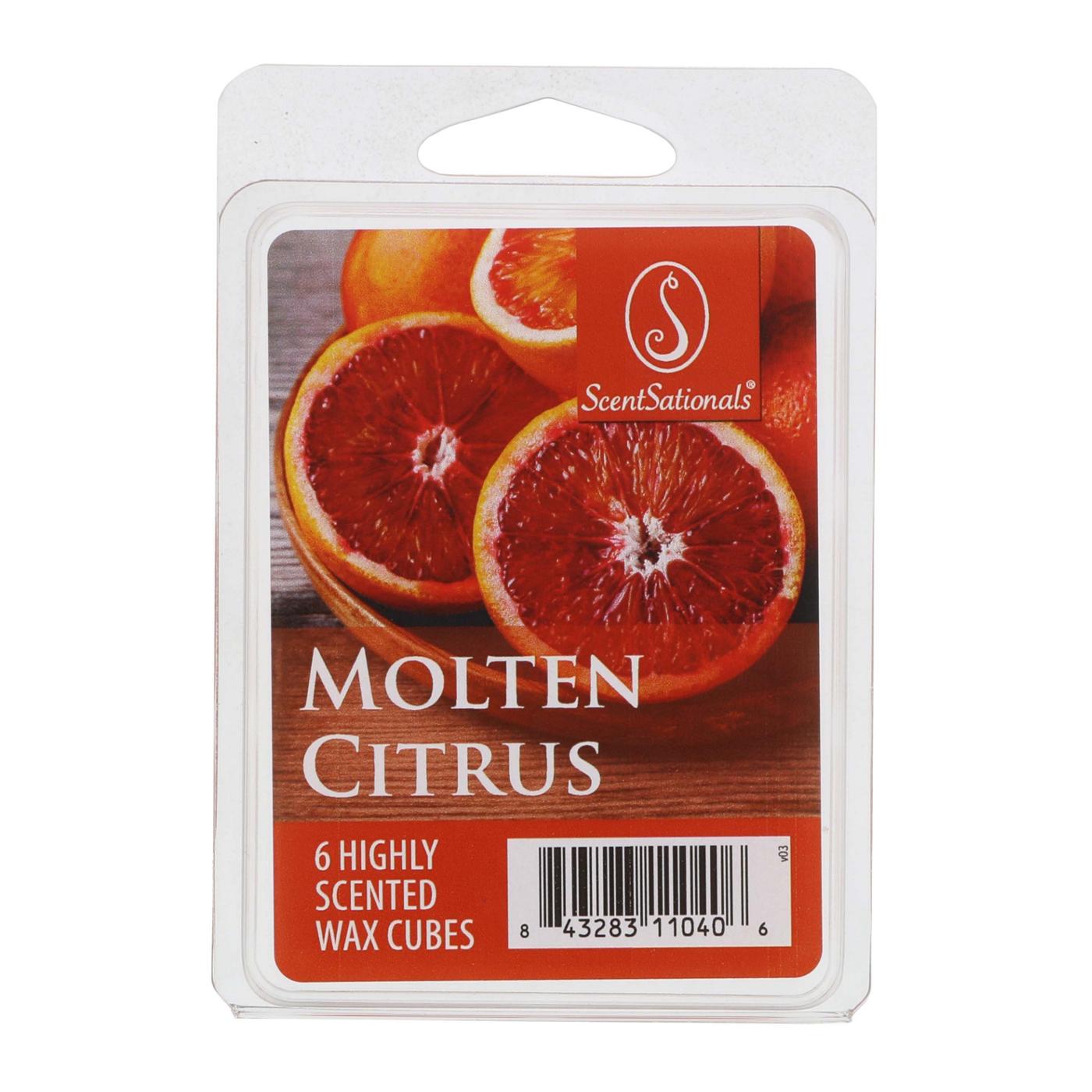 ScentSationals Molten Citrus Scented Wax Melt Cubes - Shop Scented oils ...