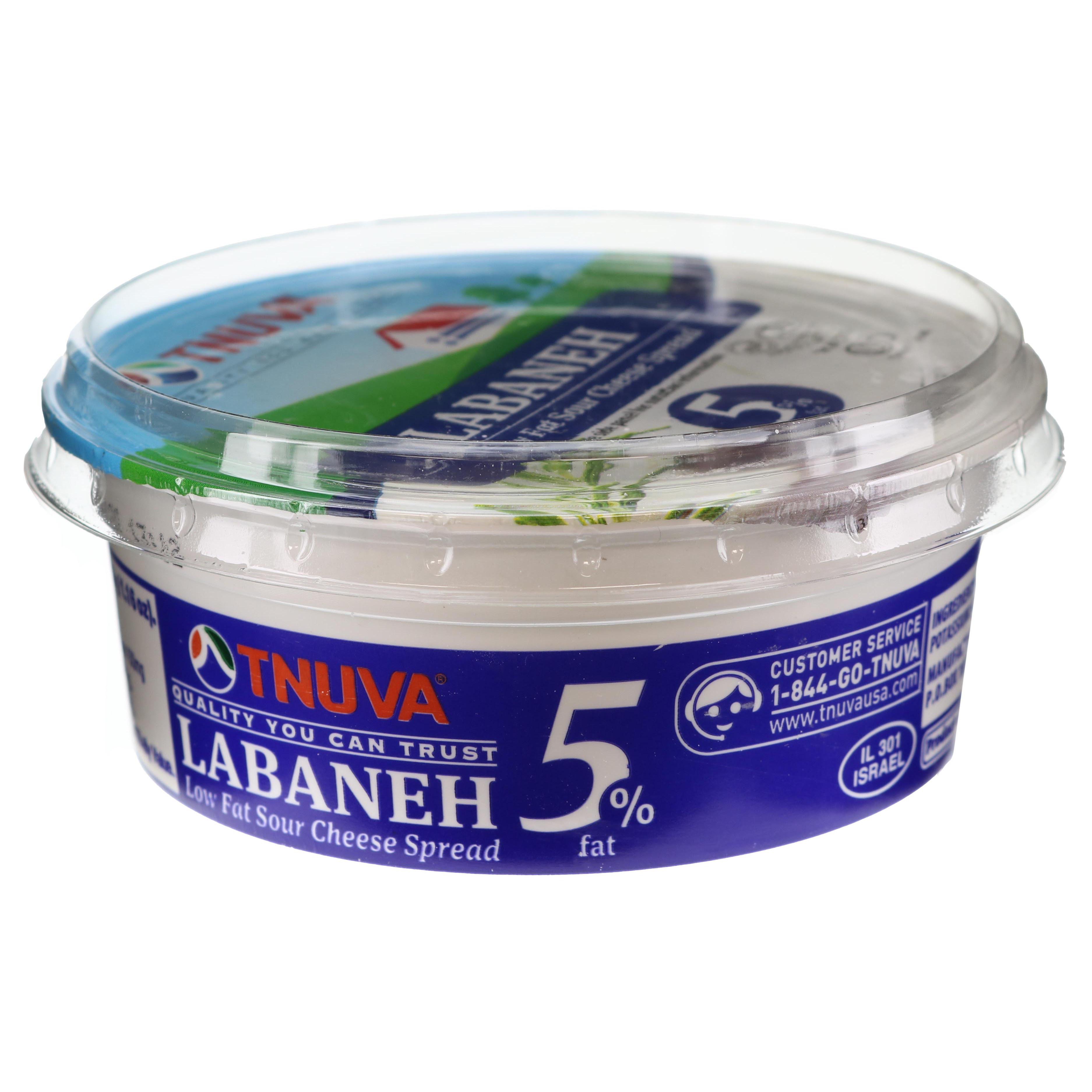 Tnuva Kosher Labaneh Low Fat Sour Cheese Spread - Shop Cheese at H-E-B