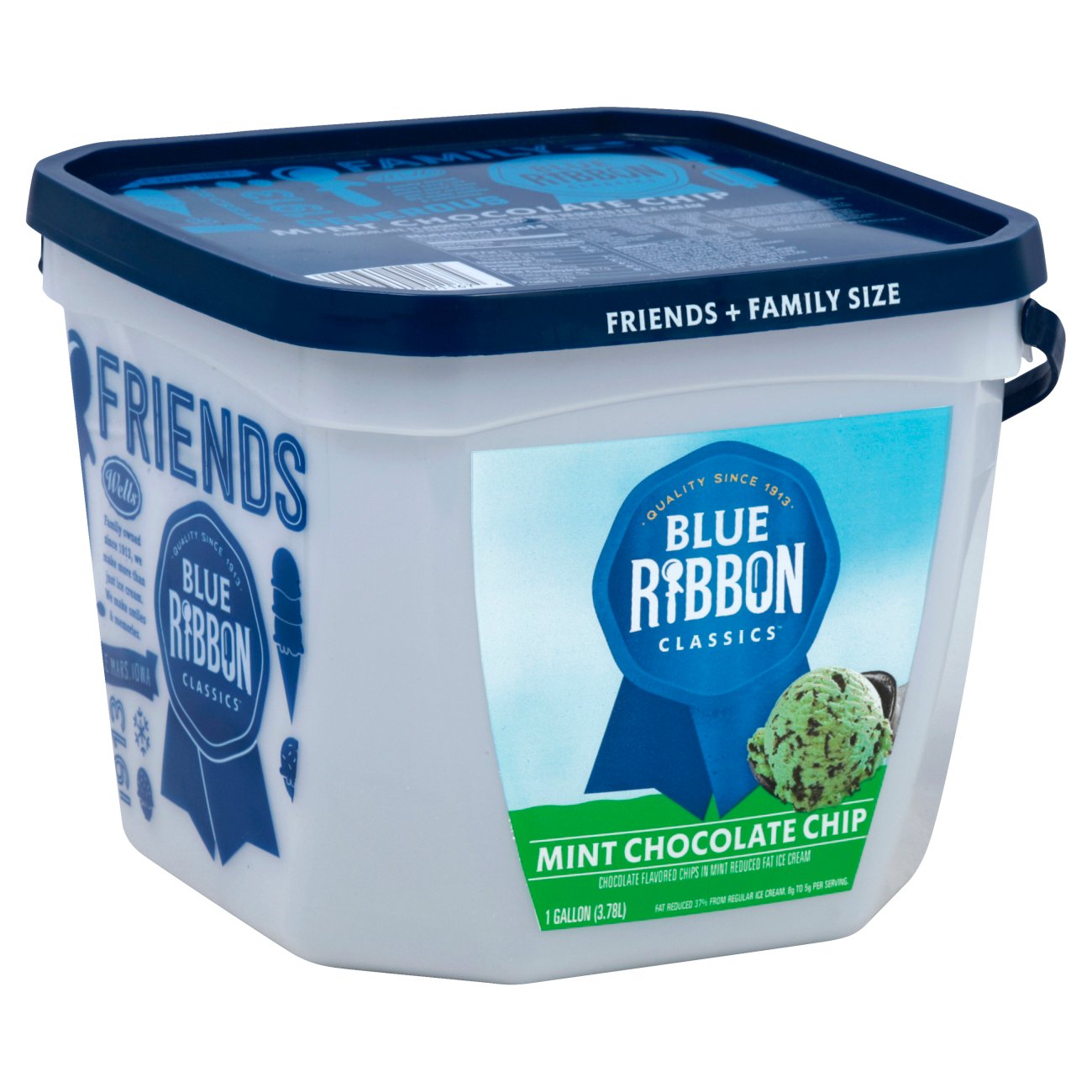 Blue Ribbon Classics Mint Chocolate Chip Ice Cream - Shop Ice Cream at ...