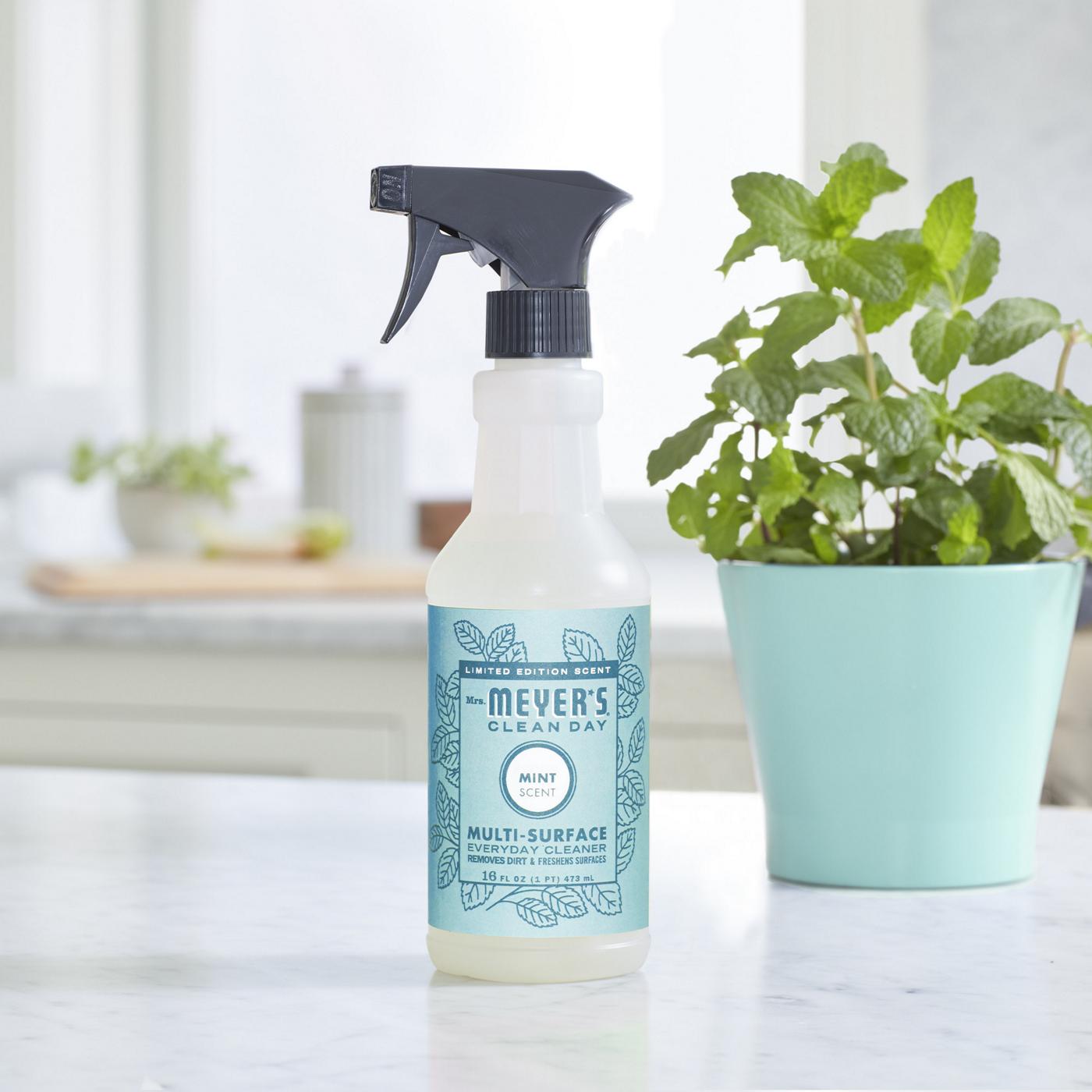 Mrs. Meyer's Clean Day Mint Multi-Surface Cleaner Spray - Shop All ...