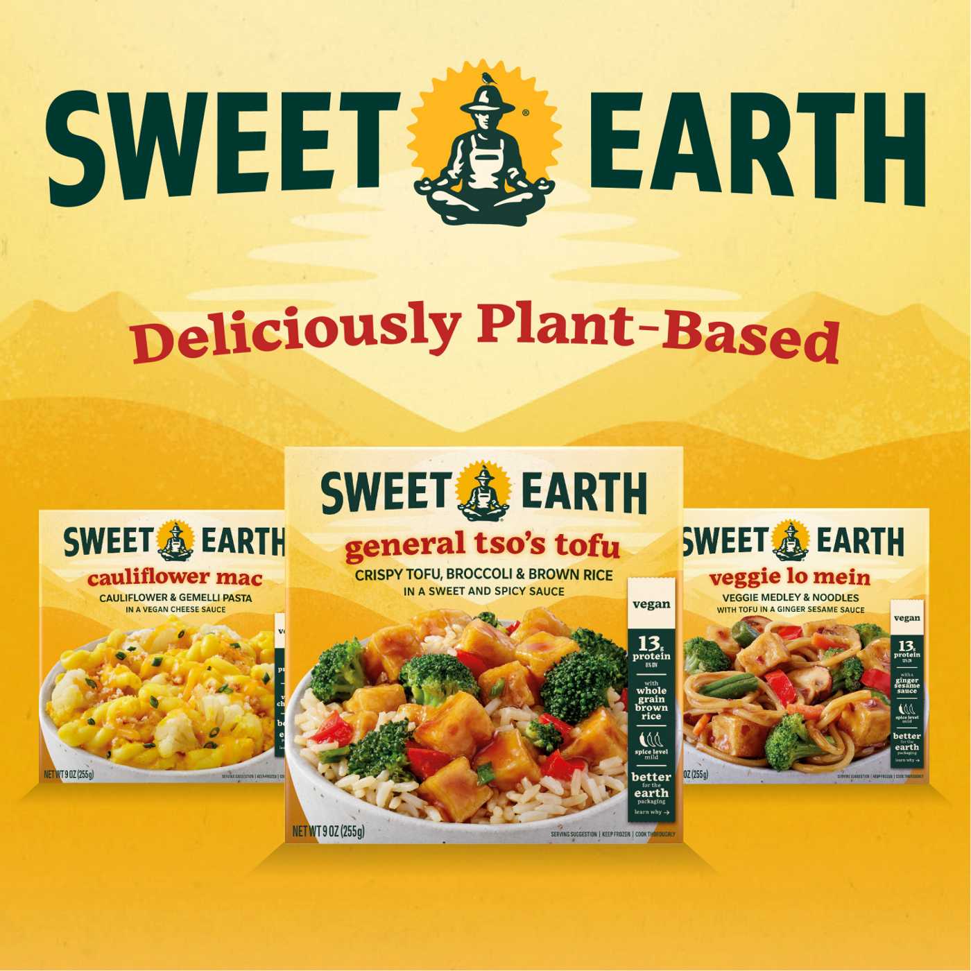 Sweet Earth Veggie Lo Mein, Frozen Dinner For One - Shop Entrees ...