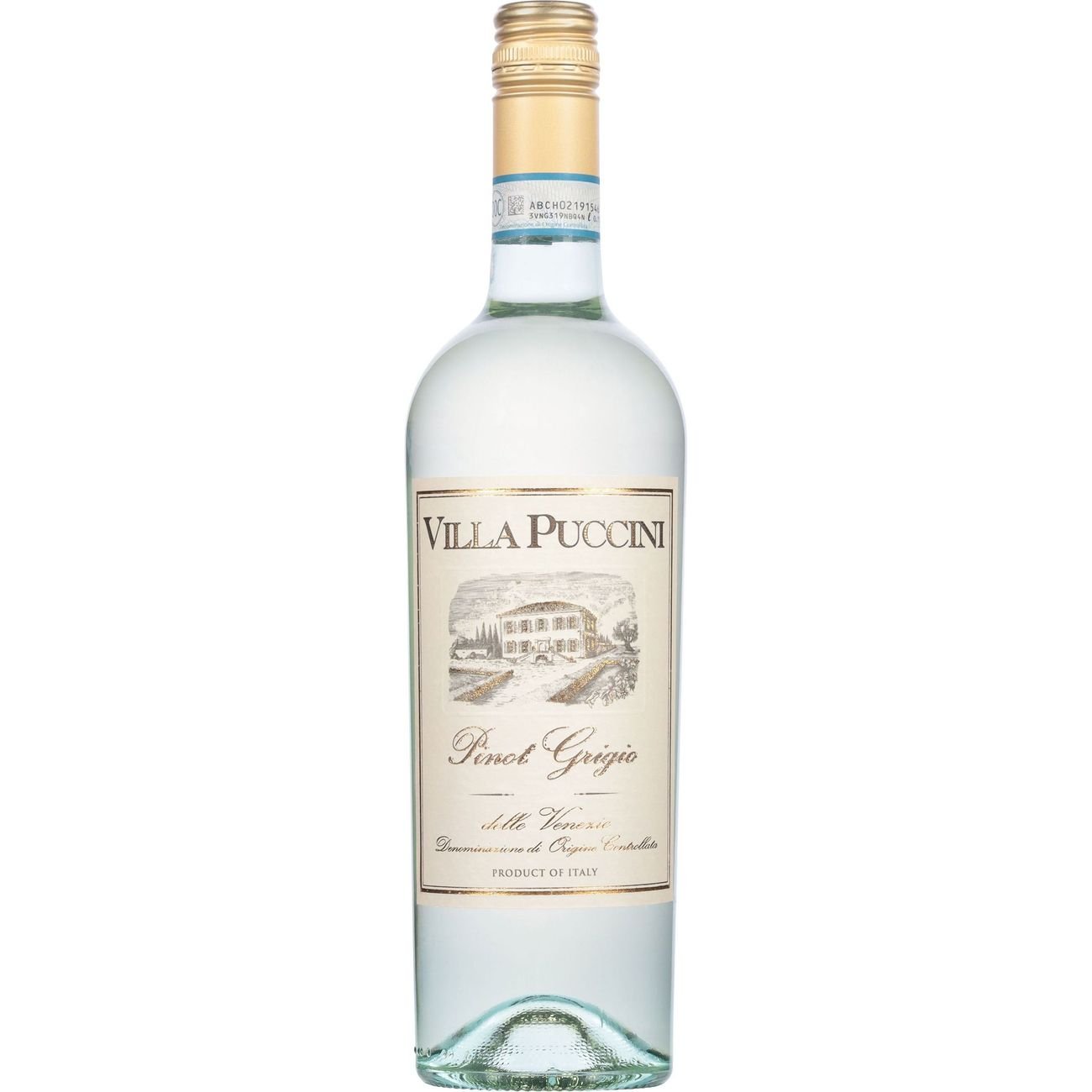 Villa Puccini Pinot Grigio Italy White Wine - Shop Wine at H-E-B
